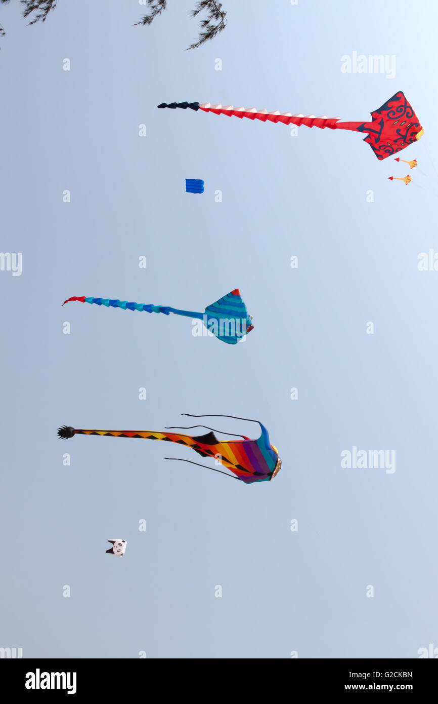 colorful kite in the blue sky at the summer holidays time Stock Photo ...