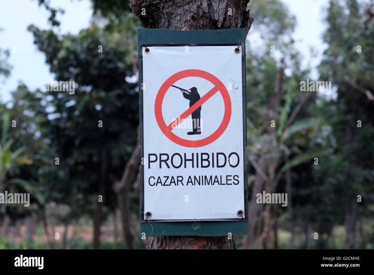 Warning sign banning hunting wild animals displayed in a rural setting ...