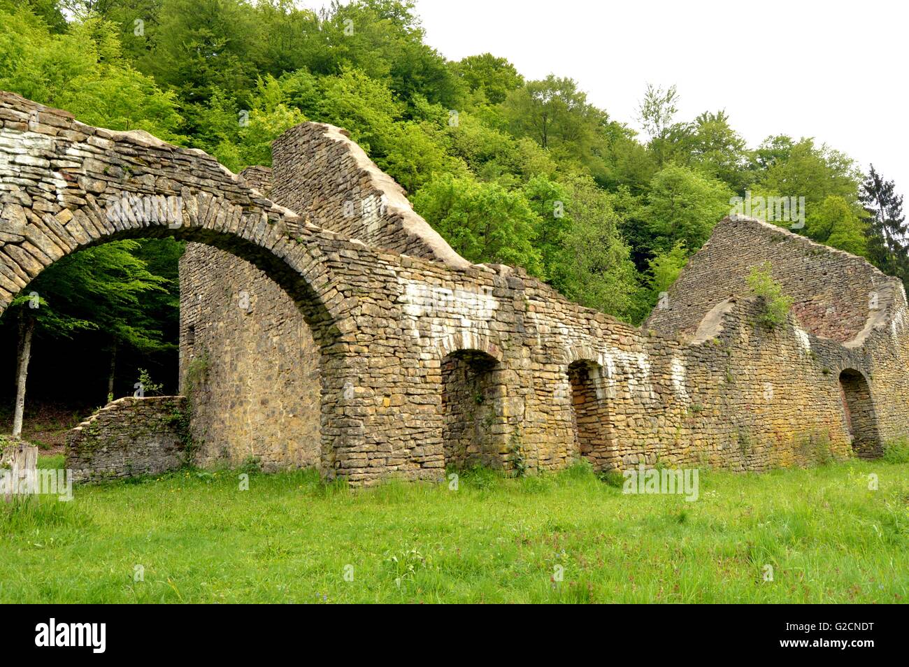 Ancient ruins in a forest hi-res stock photography and images - Alamy