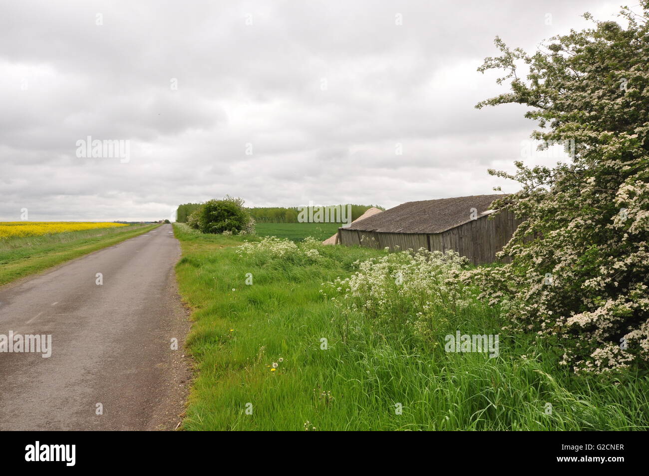 Tilney hi-res stock photography and images - Alamy