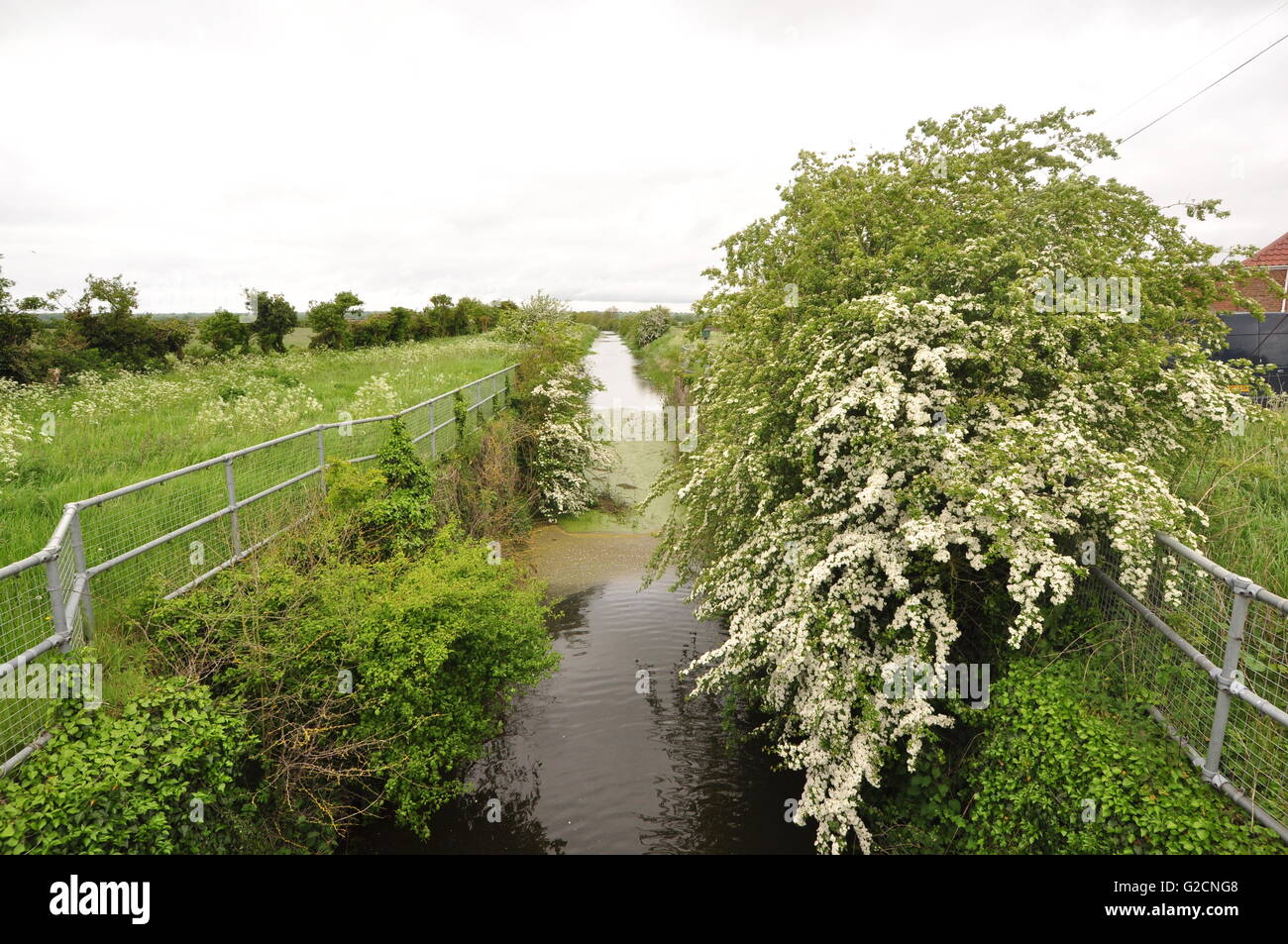 Hagnaby Lock, Lincolnshire Fens UK Stock Photo - Alamy
