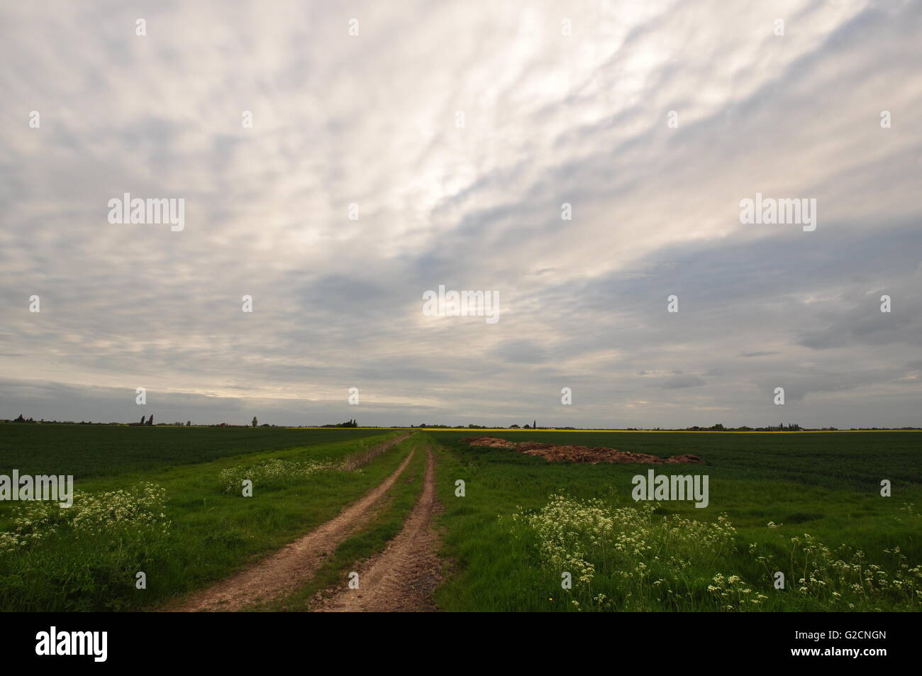 Fenland farm landscape hi-res stock photography and images - Alamy