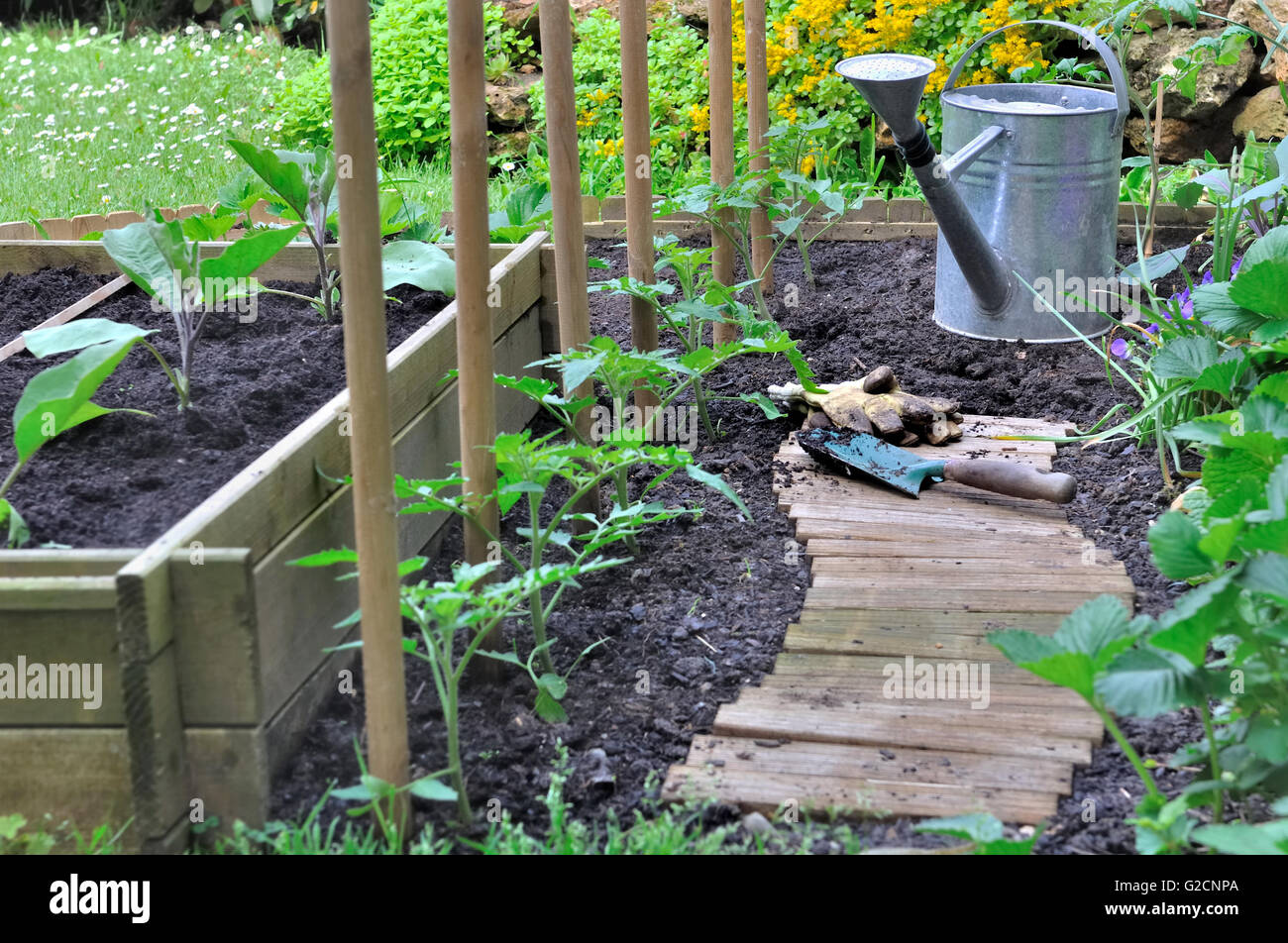 Soil patch hi-res stock photography and images - Alamy