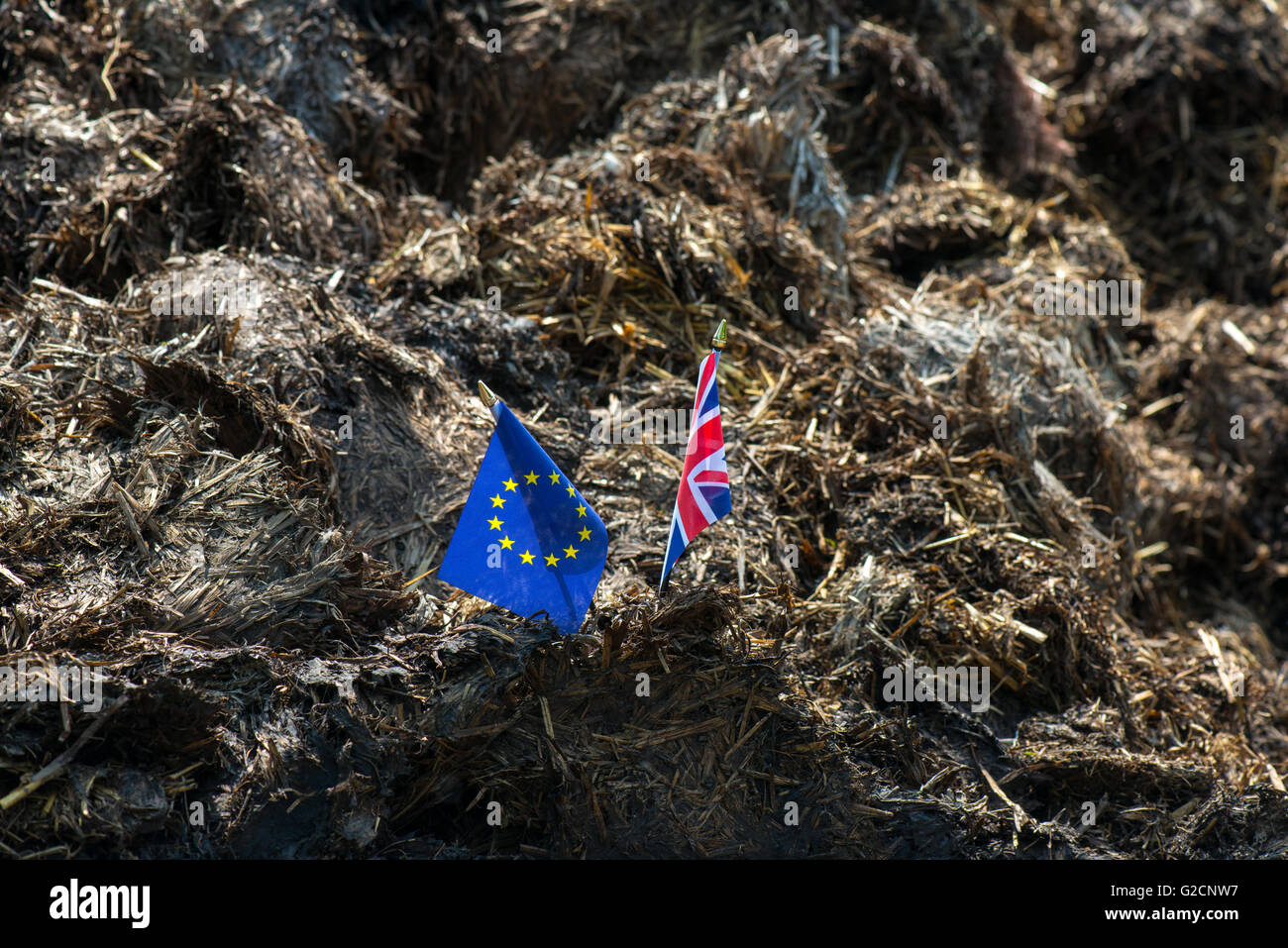 Brexit EU poop shit flags uk europe Stock Photo - Alamy