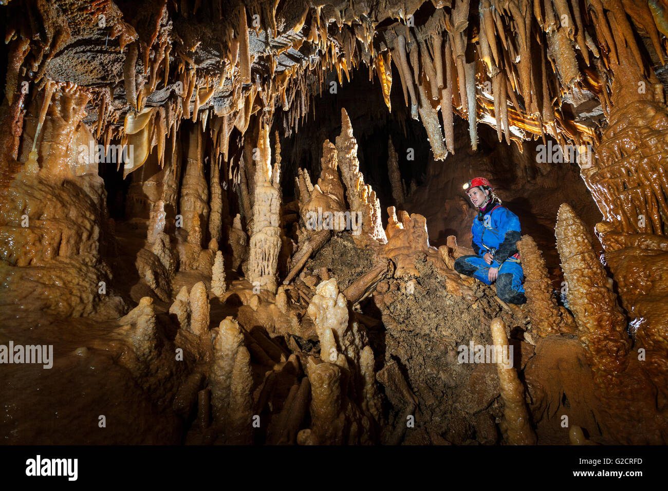 Stal High Resolution Stock Photography and Images - Alamy