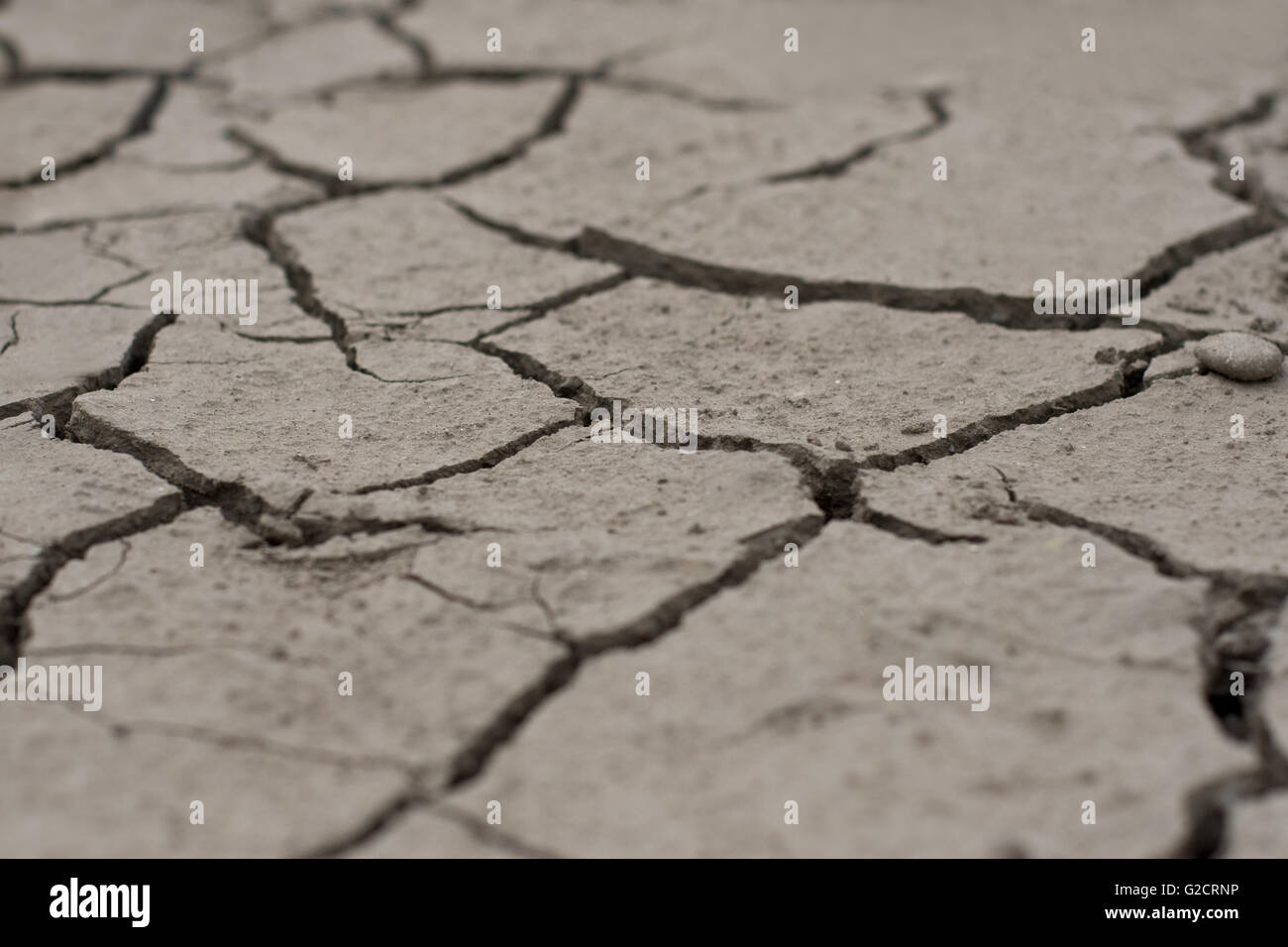 Horizontal photo of a piece of extremely dry and cracked ground with ...