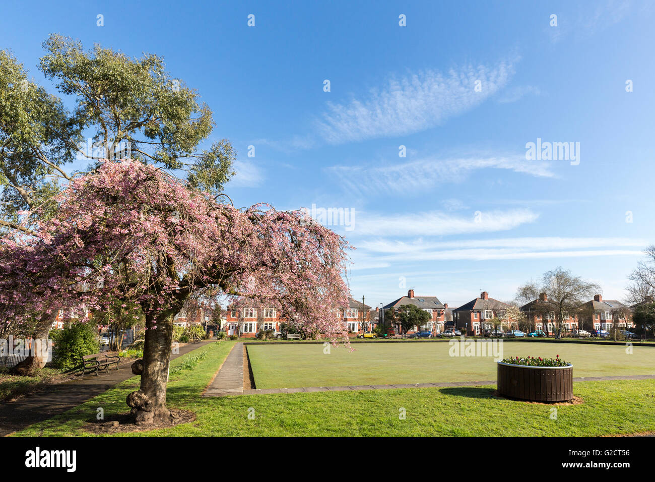 Cardiff park hi-res stock photography and images - Alamy