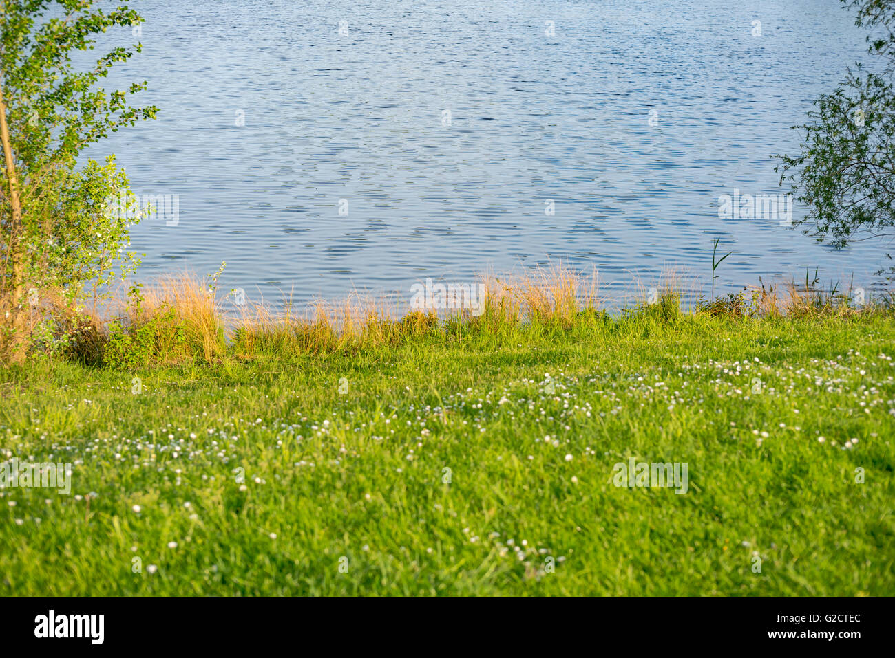 lake shore background in Germany on a sunny day Stock Photo - Alamy