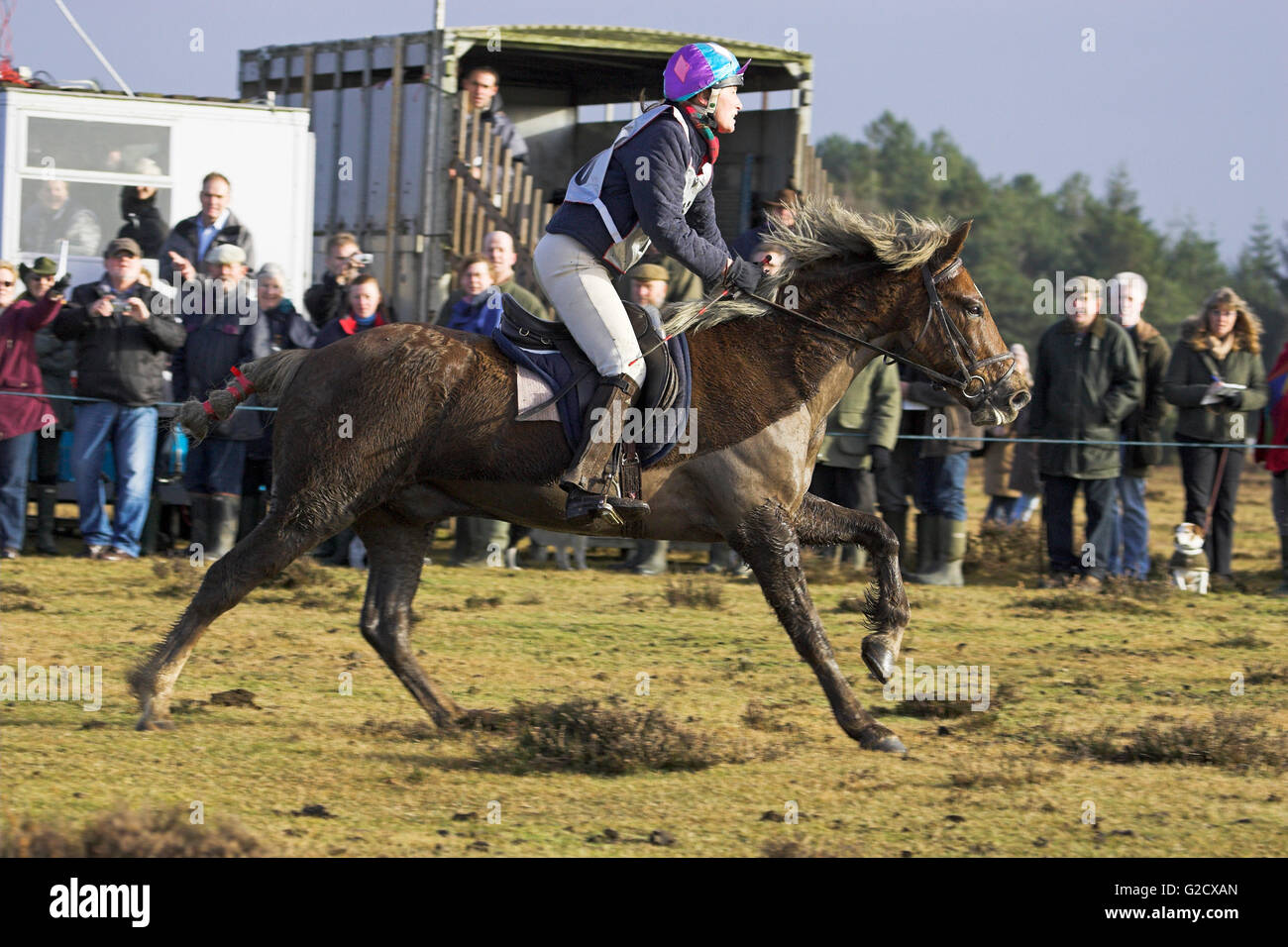 Point to point pony racing hi-res stock photography and images - Alamy