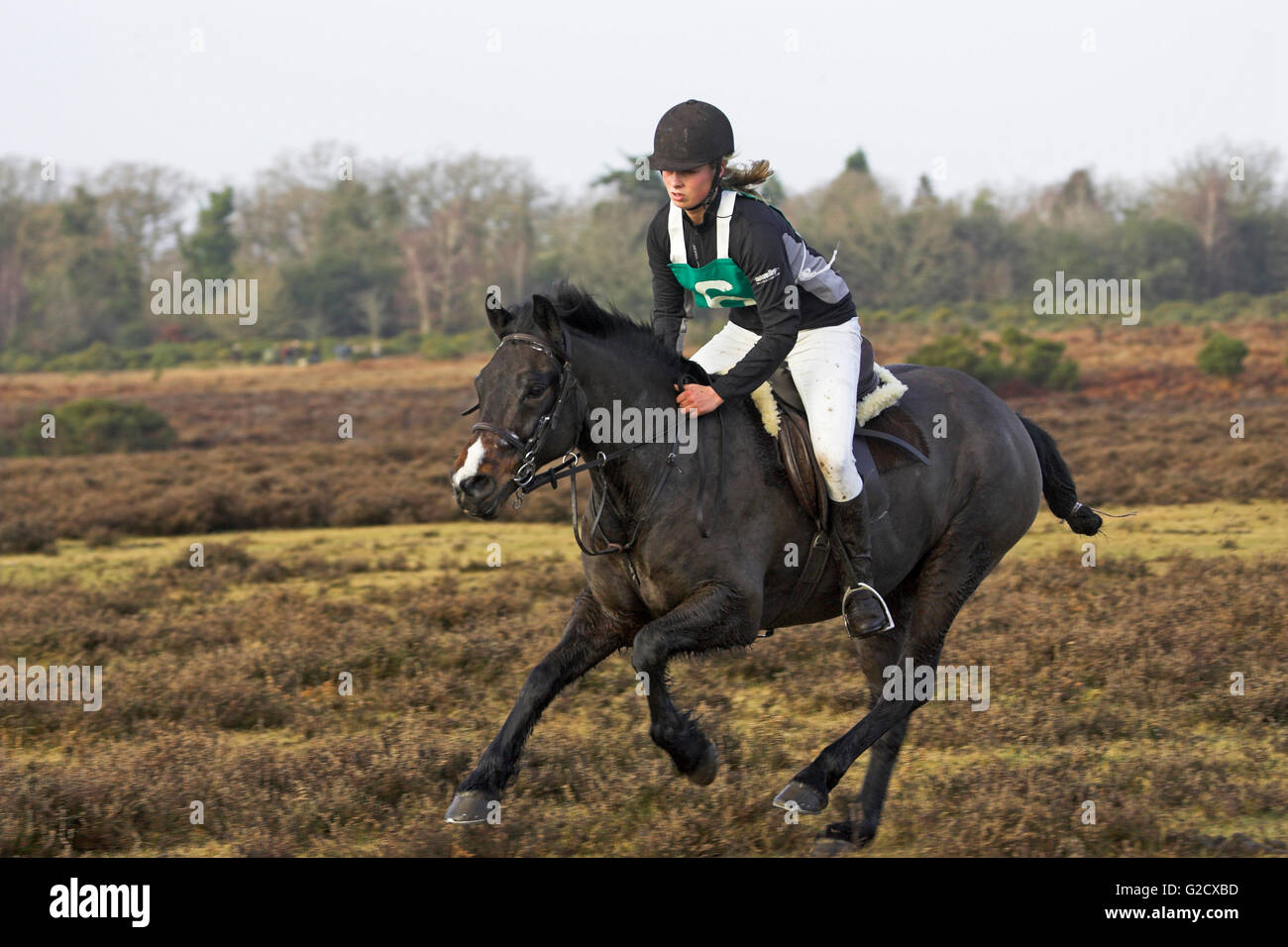 Point to point pony racing hi-res stock photography and images - Alamy