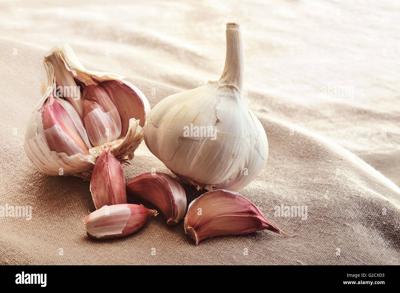 two heads of garlic on brown fabric closeup Stock Photo - Alamy