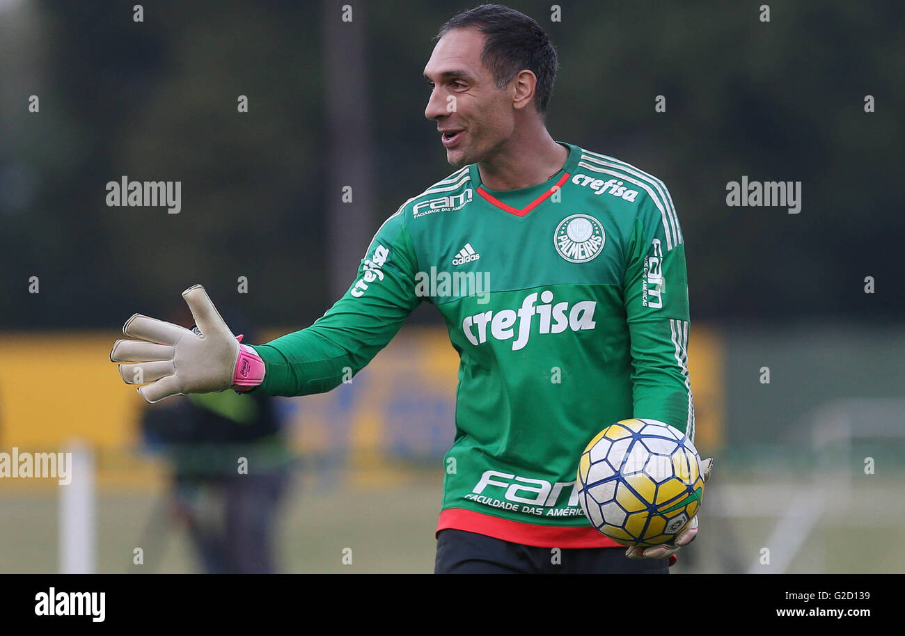 SAO PAULO, Brazil - 27/05/2016: TRAINING OF TREES - The goalkeeper ...