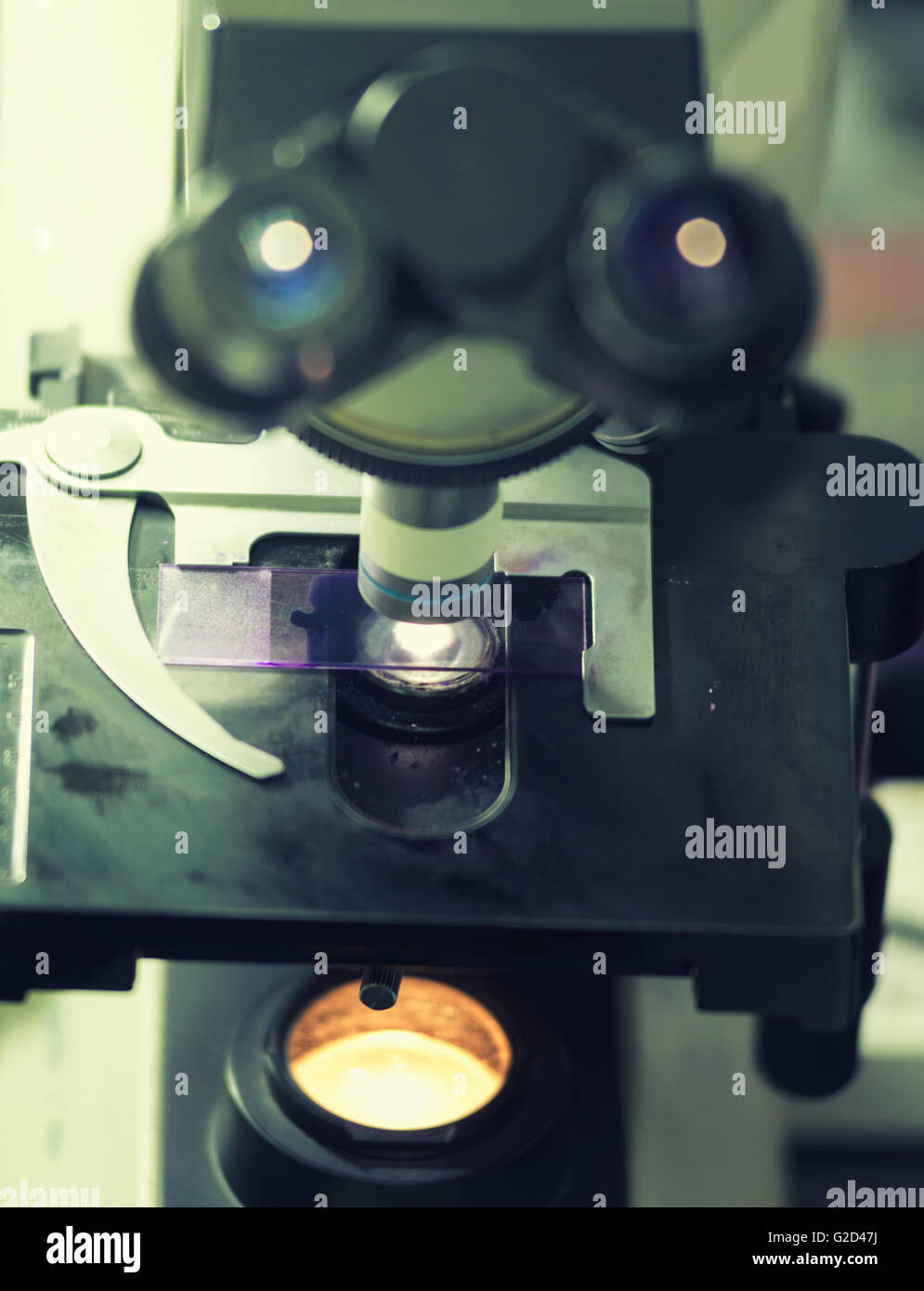 eye microscope for diagnostic disease in hospital laboratory Stock ...