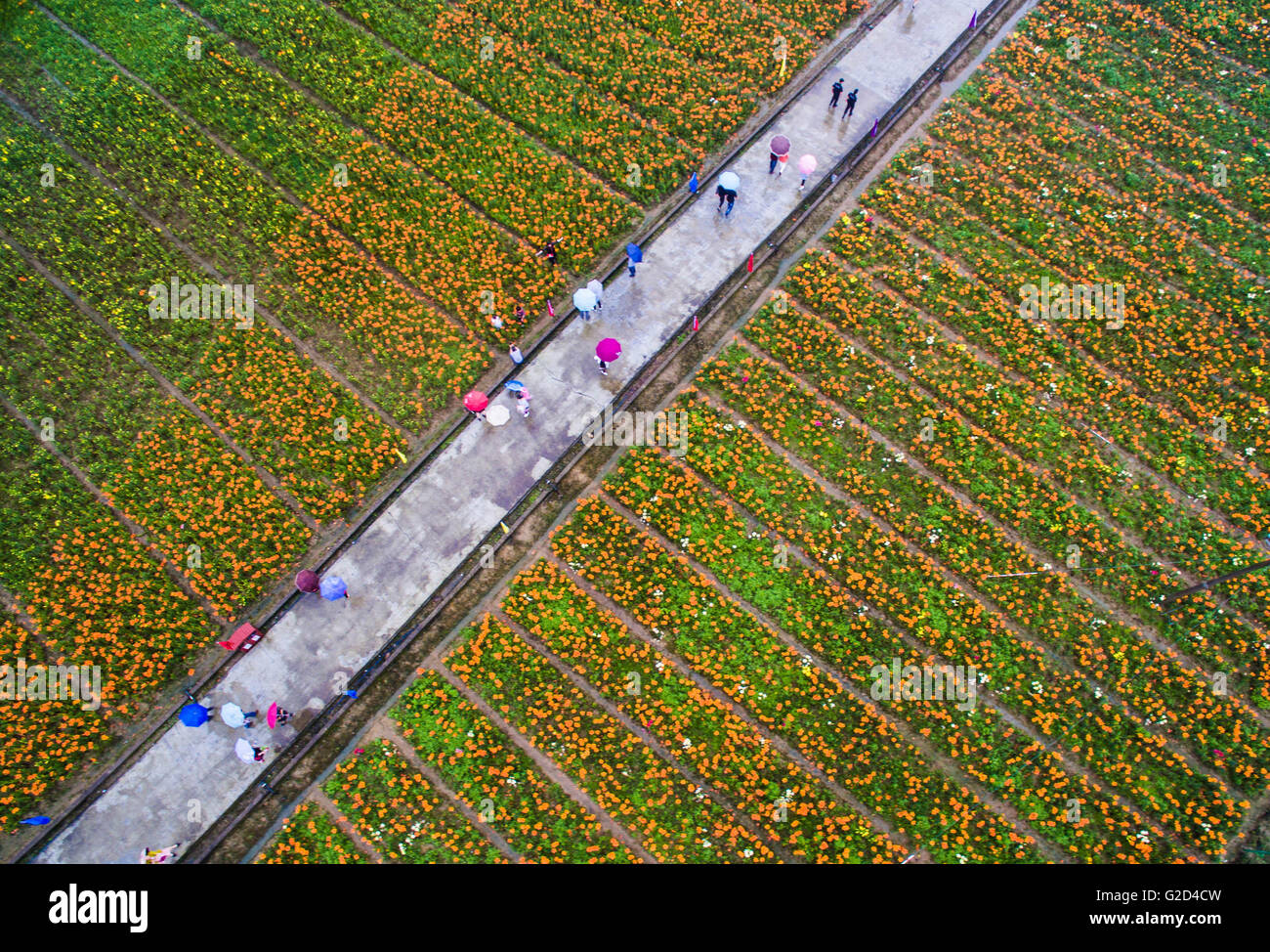 Tonglu, China's Zhejiang Province. 28th May, 2016. Tourists walk ...