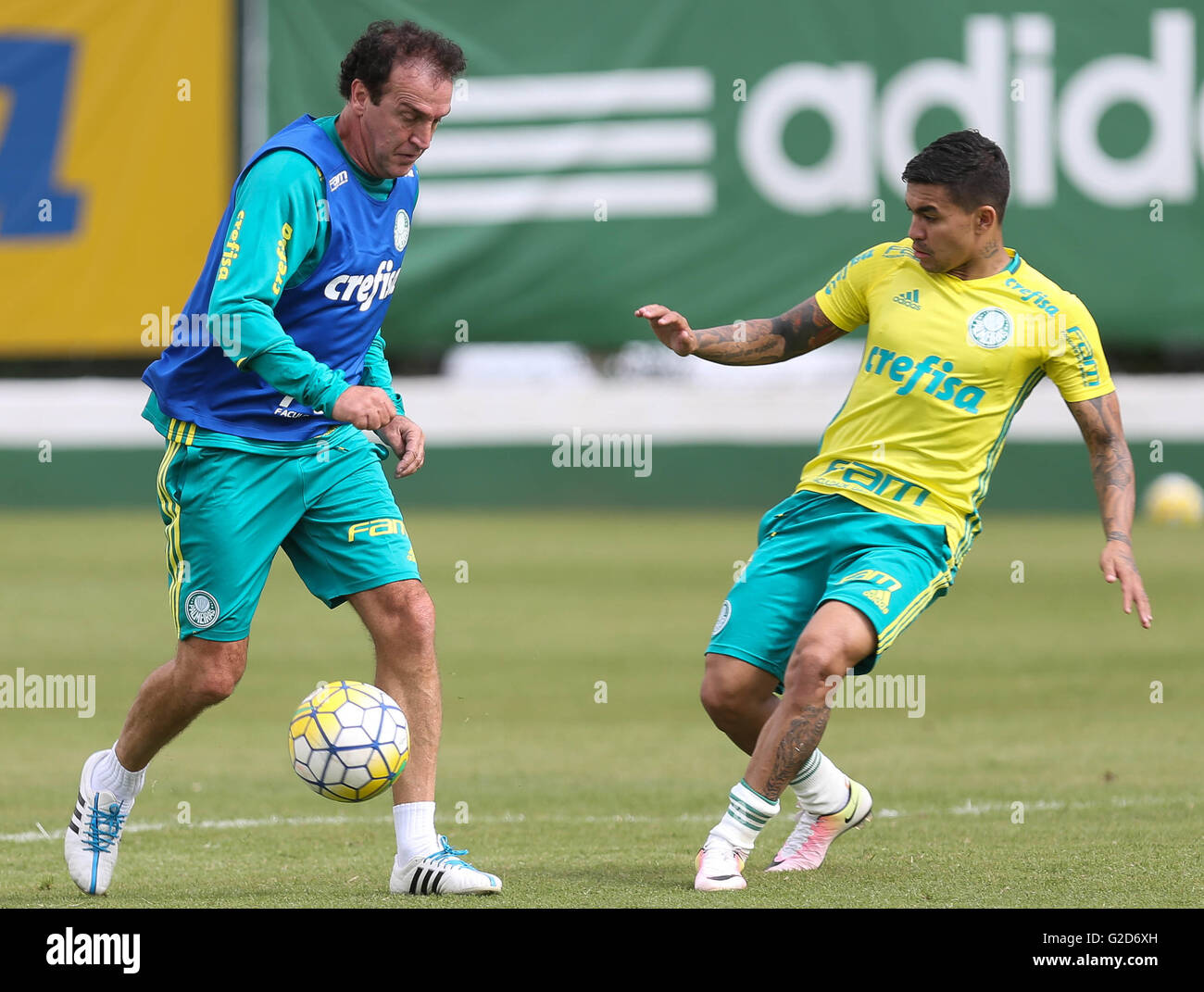 SAO PAULO, Brazil - 28/05/2016: TRAINING OF TREES - The coach Cuca and ...