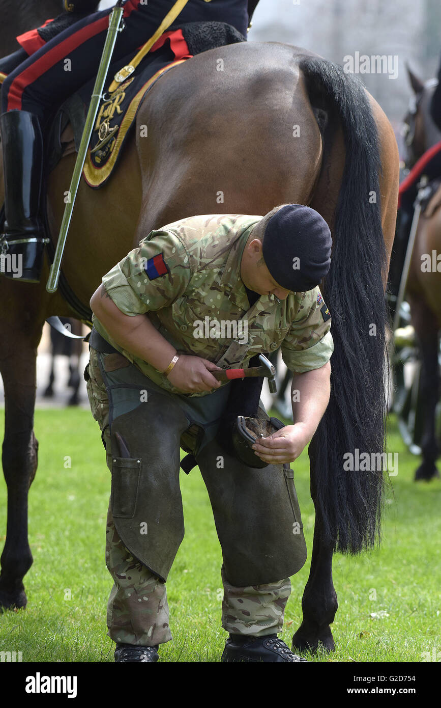 London, UK. 28th May, 2016.A farrier re shoes a horse during the parade ...