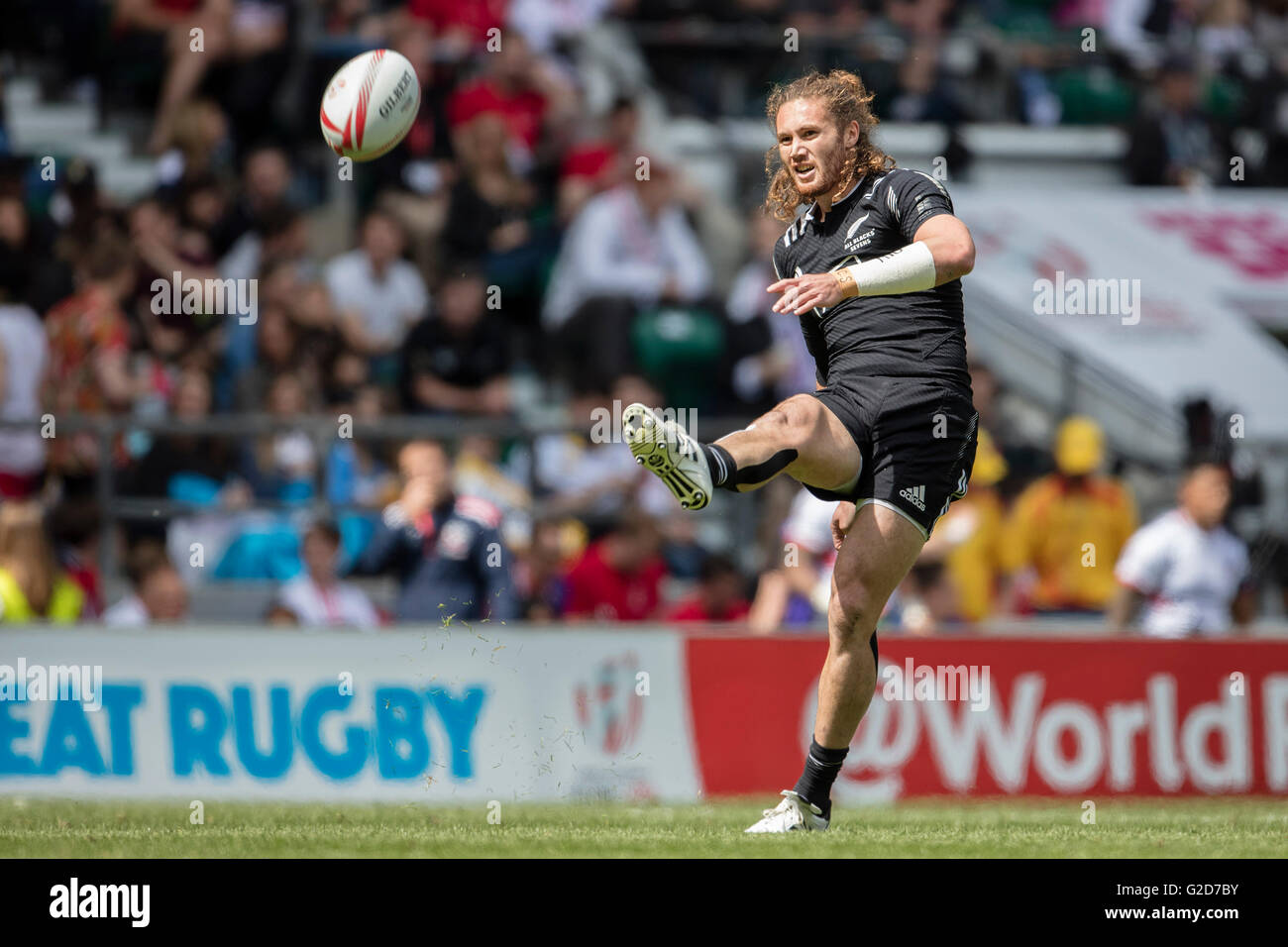 Gilles kaka hi-res stock photography and images - Alamy