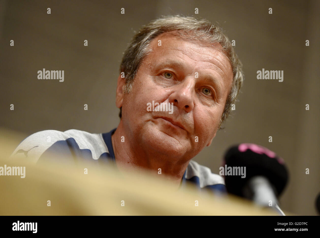 Slovakian national football team hi-res stock photography and images ...