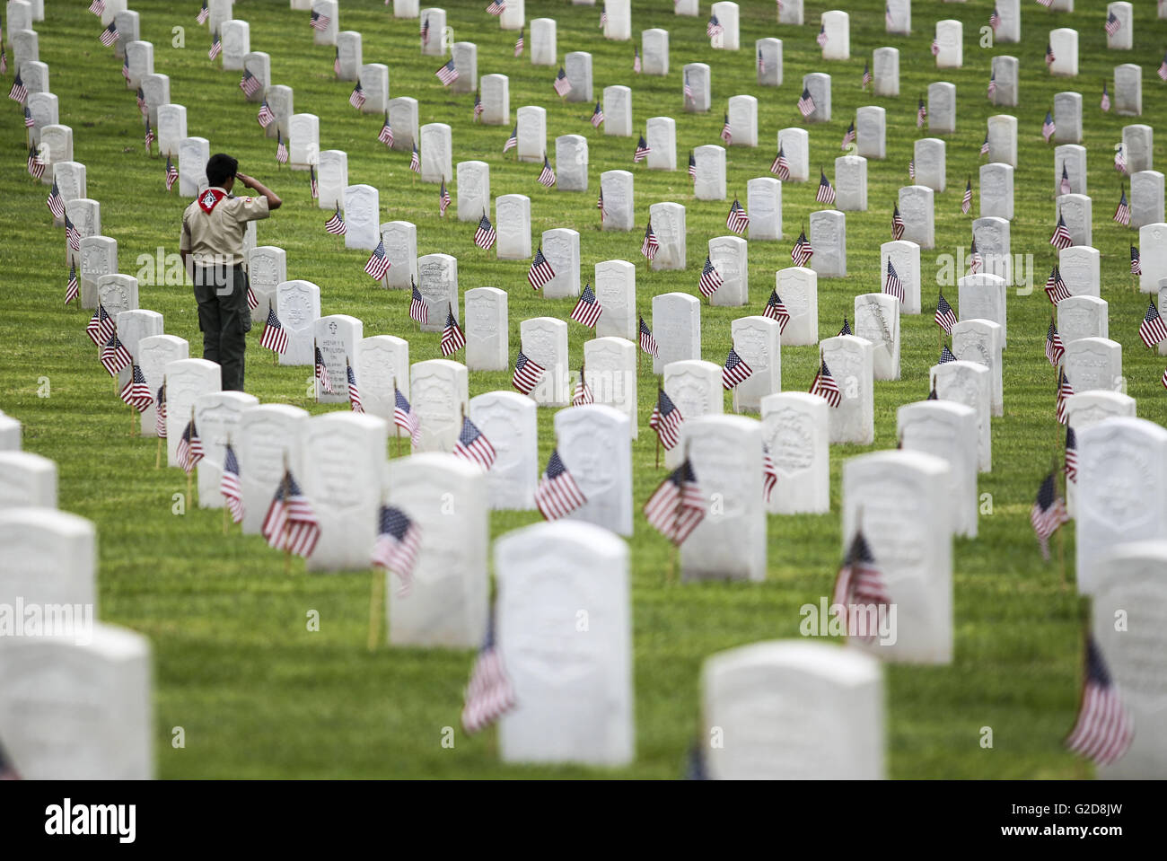 Placing flags at cemetery hi-res stock photography and images - Alamy