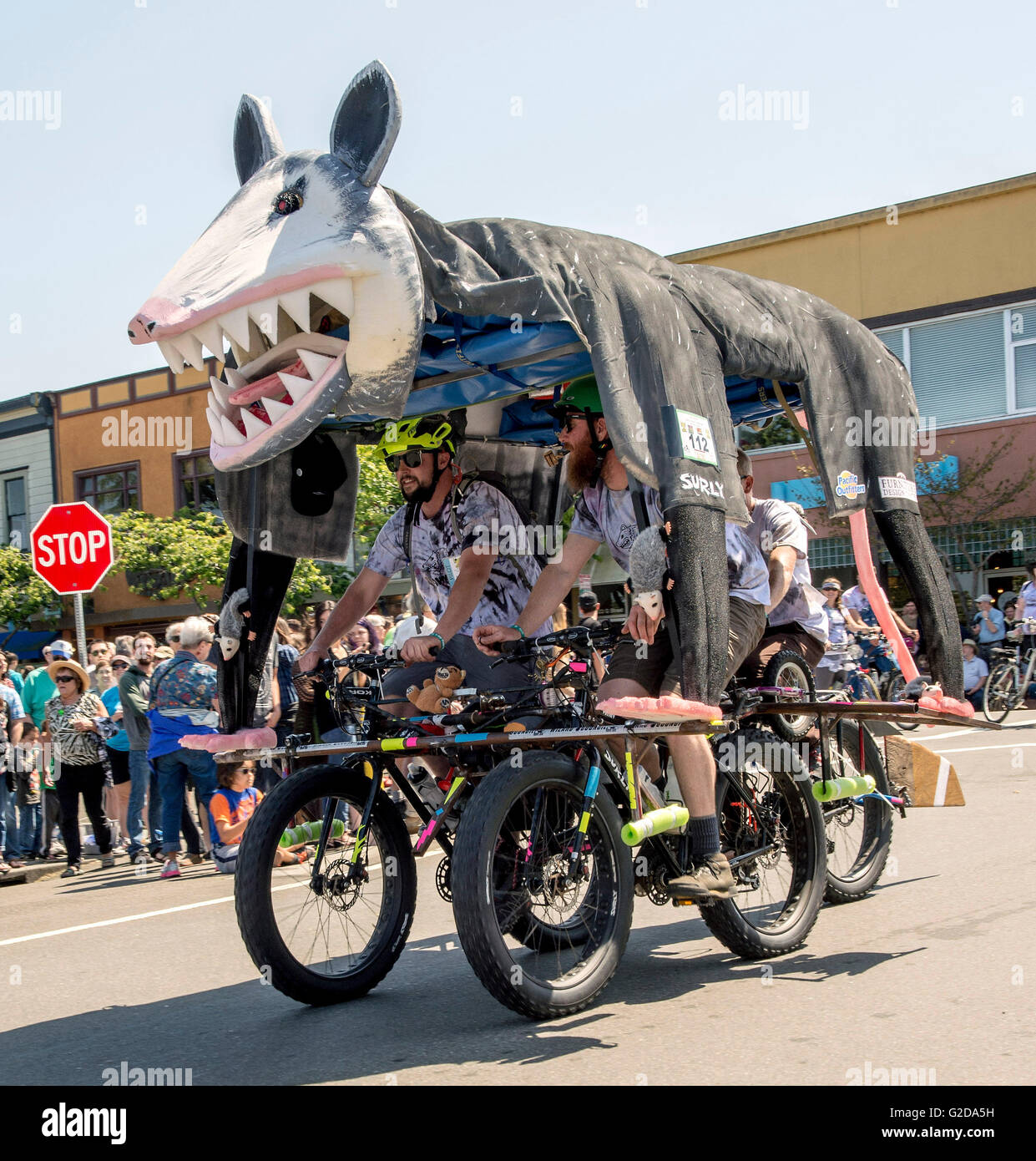 Arcata, California, USA. 28th May, 2016. ''P-Awesome'' parades around ...