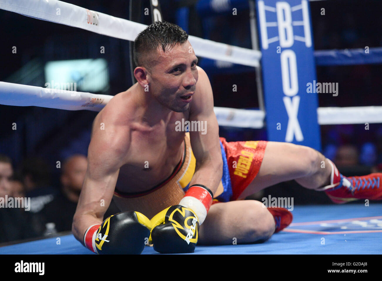 Reyes knockout hi-res stock photography and images - Alamy