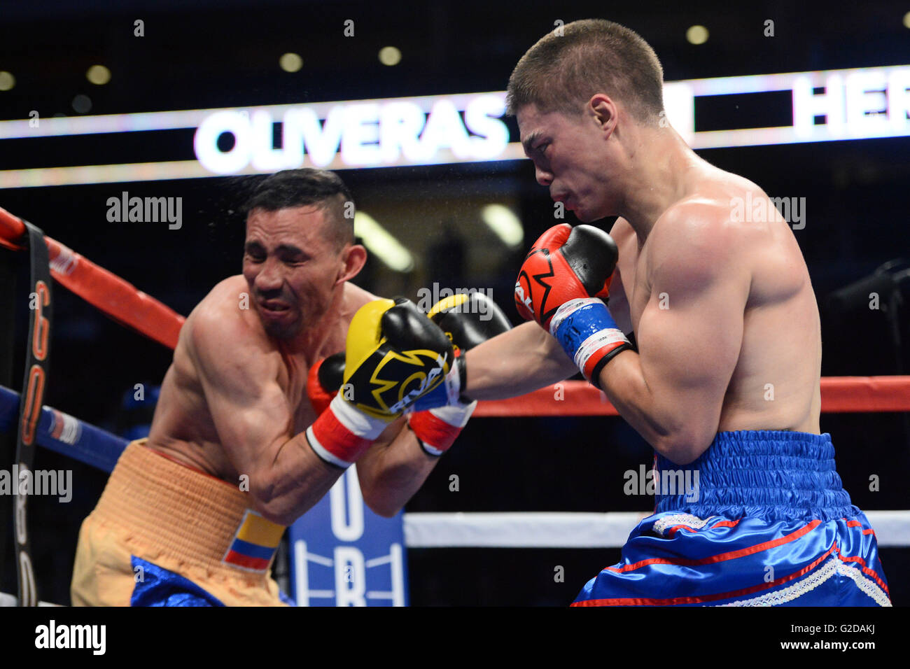 Reyes knockout hi-res stock photography and images - Alamy