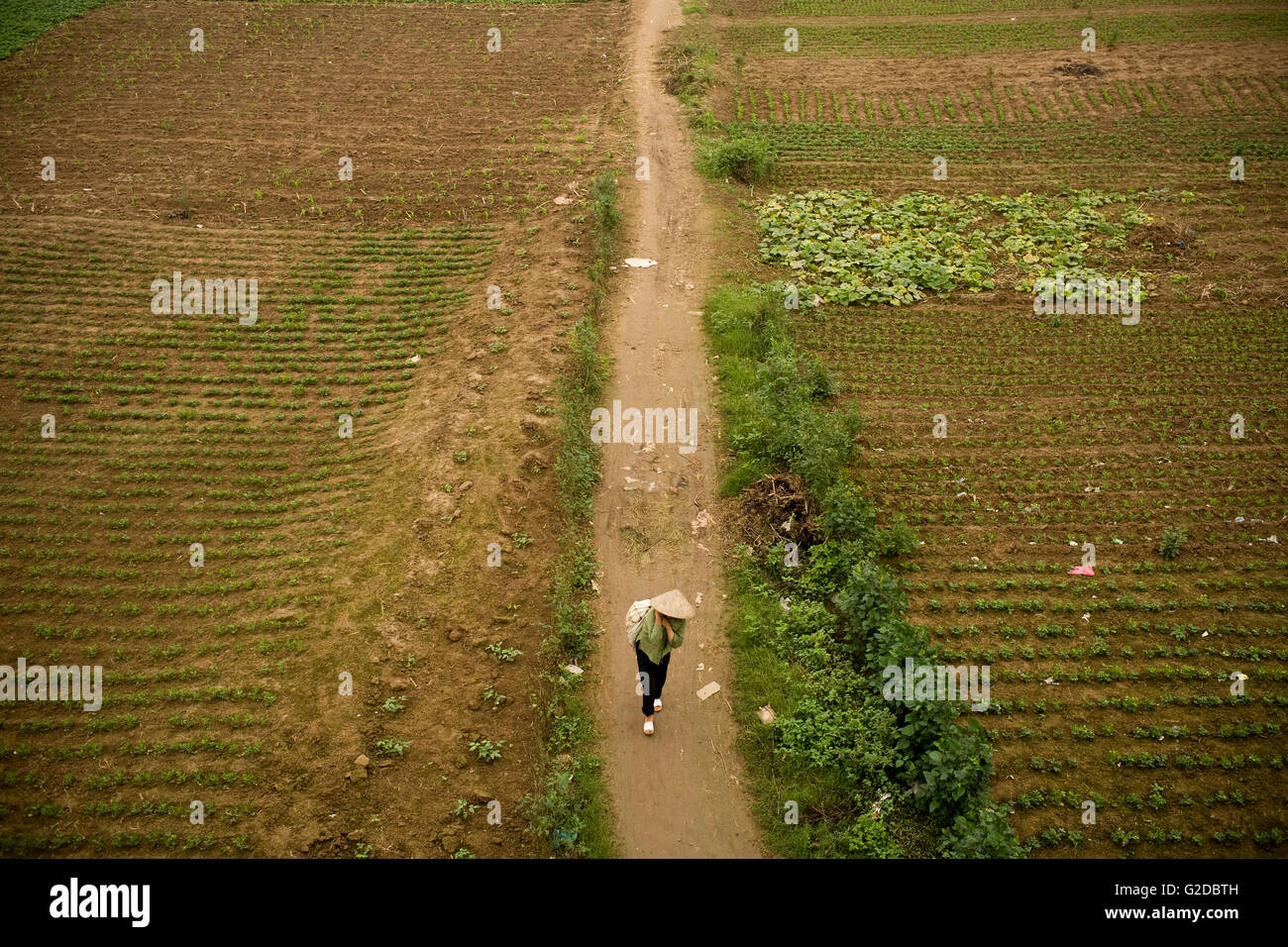 Vietnamese Farmer Walking Along Dirt Path Stock Photo - Alamy