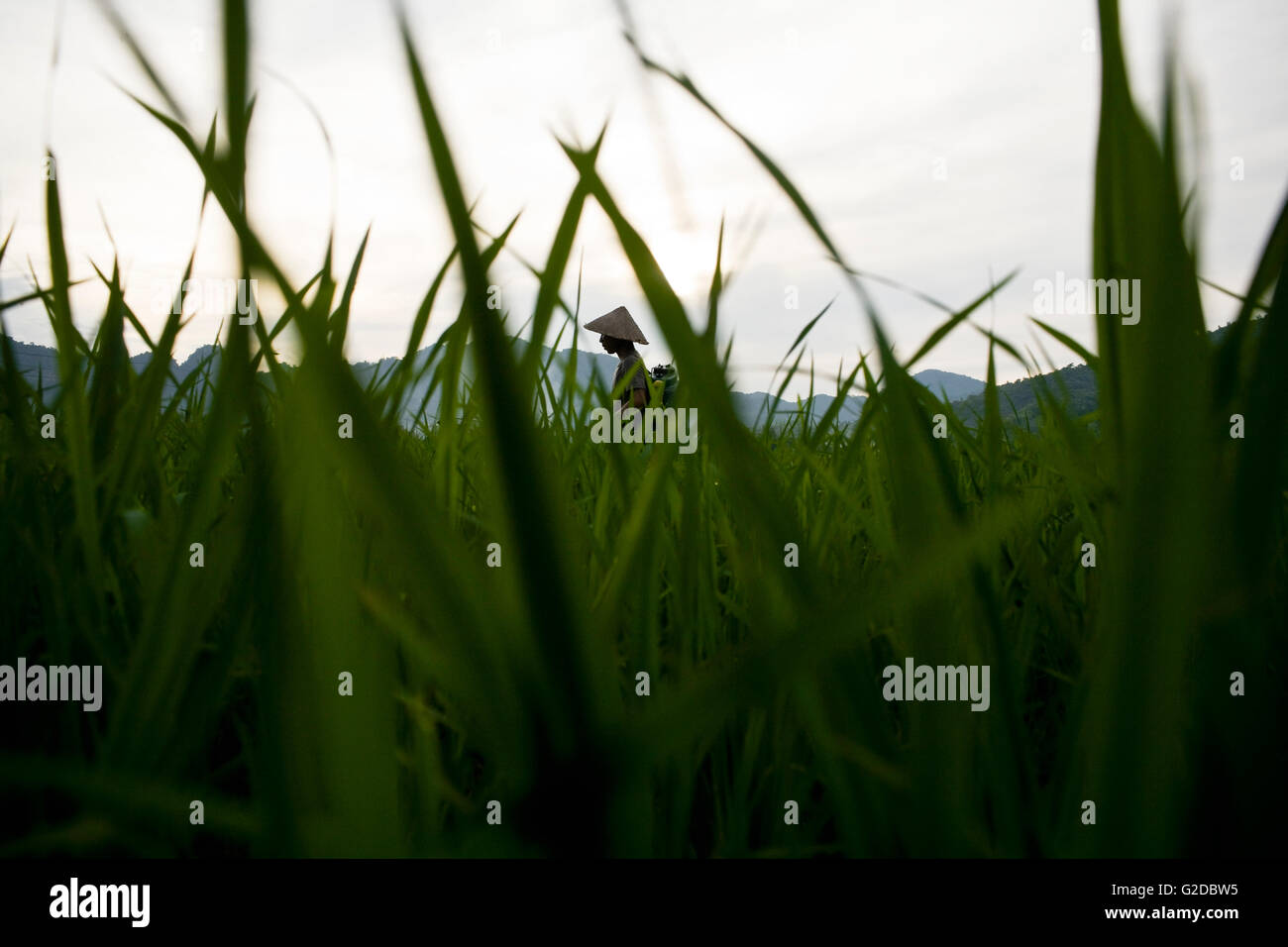 Worm's Eye View of Farm Land Stock Photo - Alamy