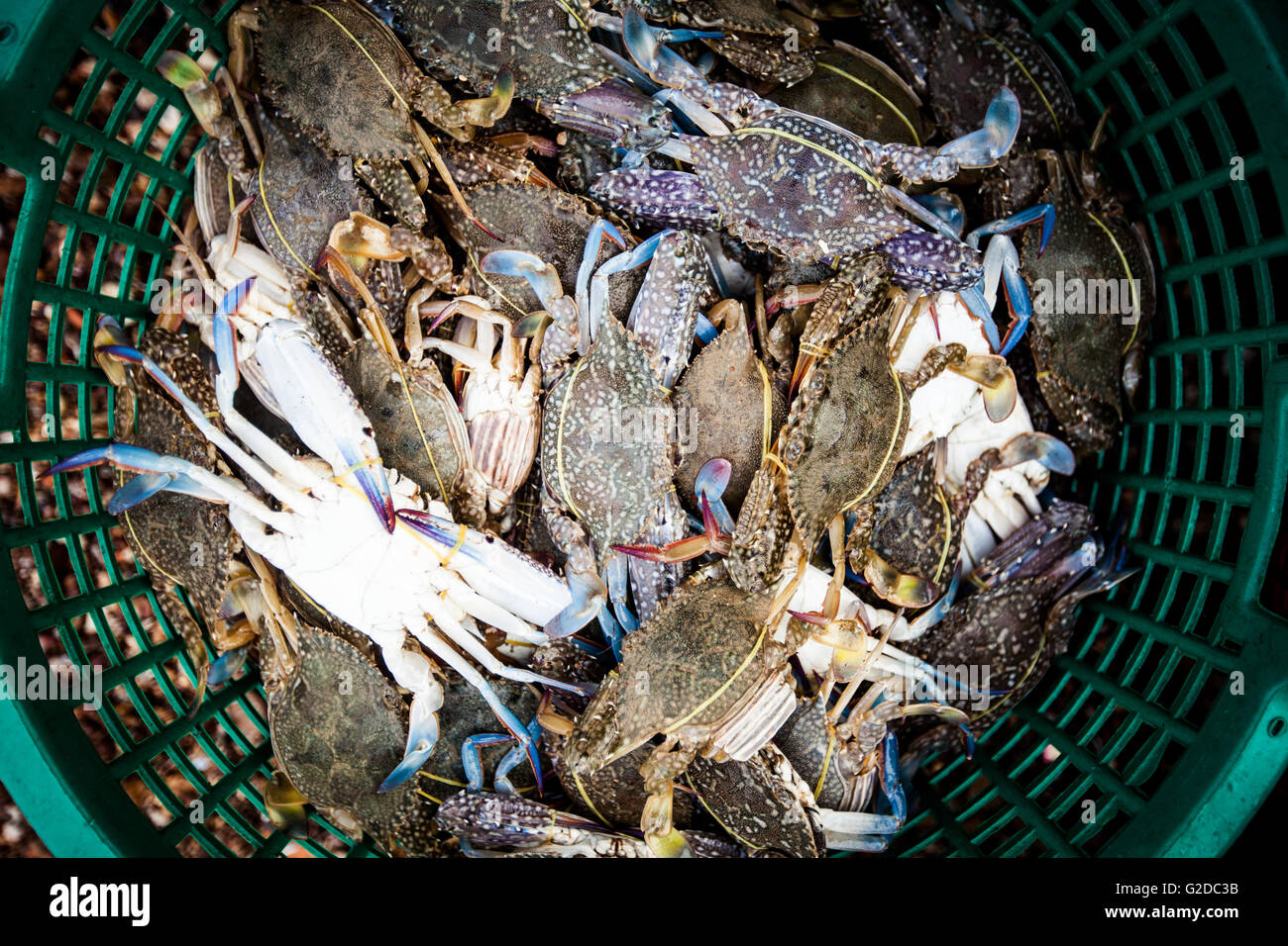 Shellfish basket hi-res stock photography and images - Alamy