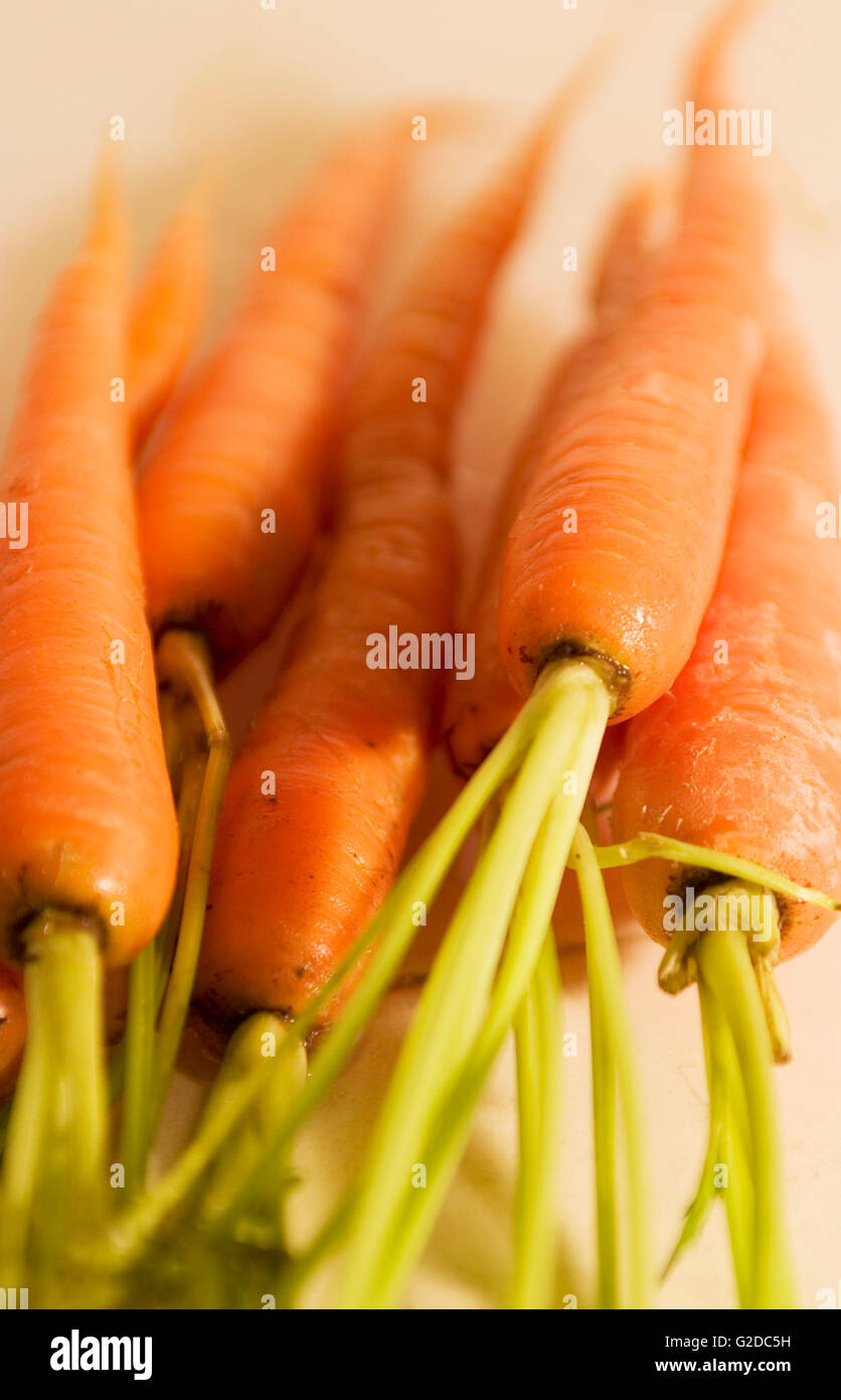 Carrots with stems hi-res stock photography and images - Alamy
