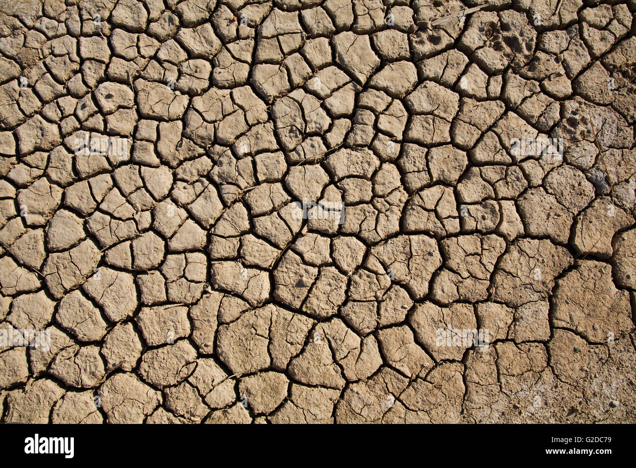 Cracked and Dry Desert Ground, High Angle View Stock Photo - Alamy