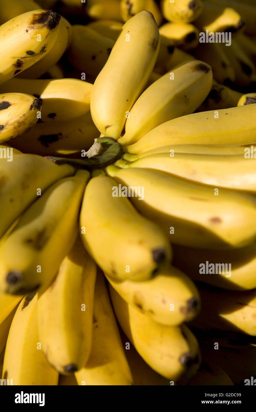 Bunch of Ripe Bananas Stock Photo - Alamy