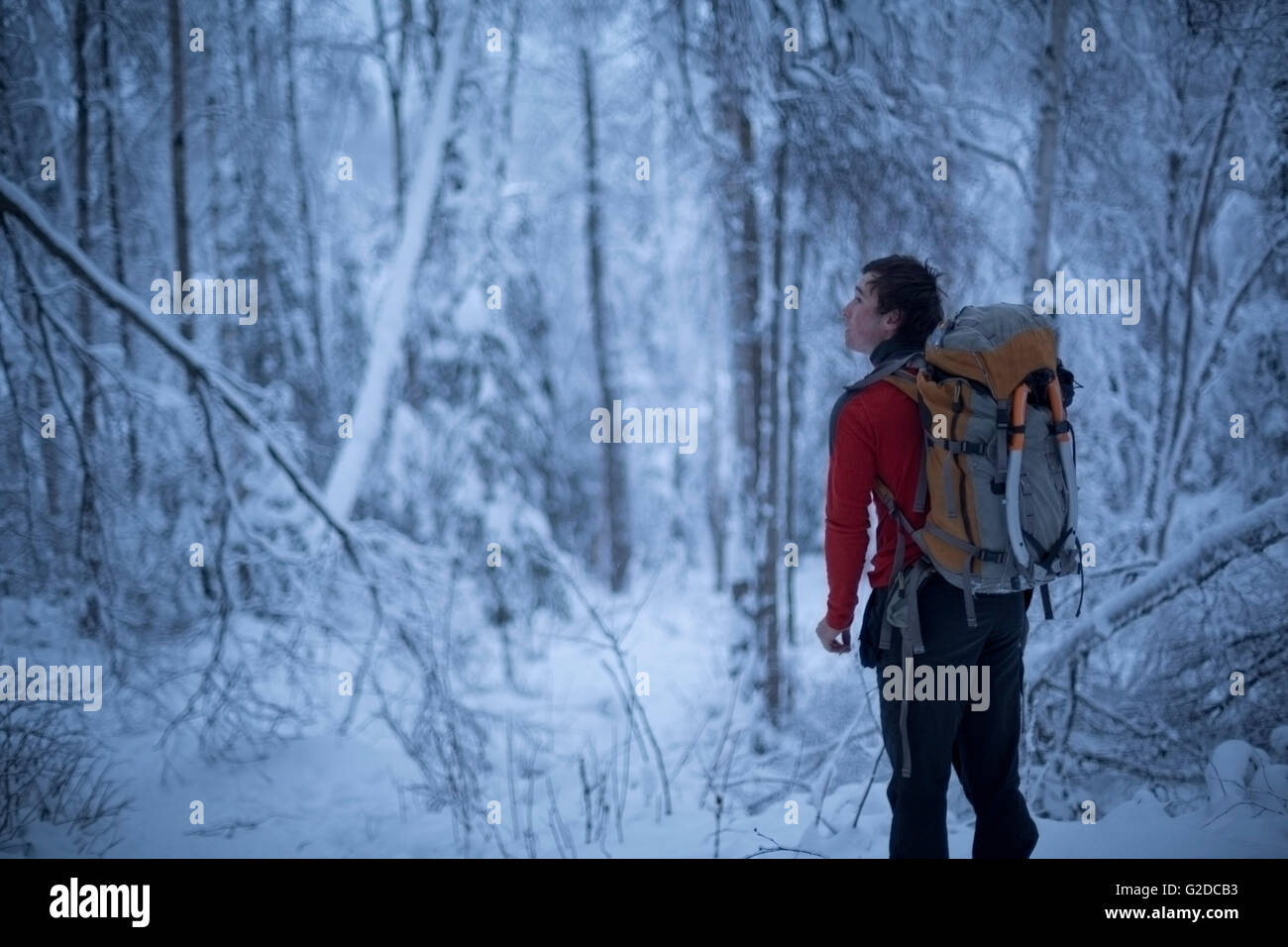 Backpacker in Winter Forest, Mid-distance Side view Stock Photo - Alamy