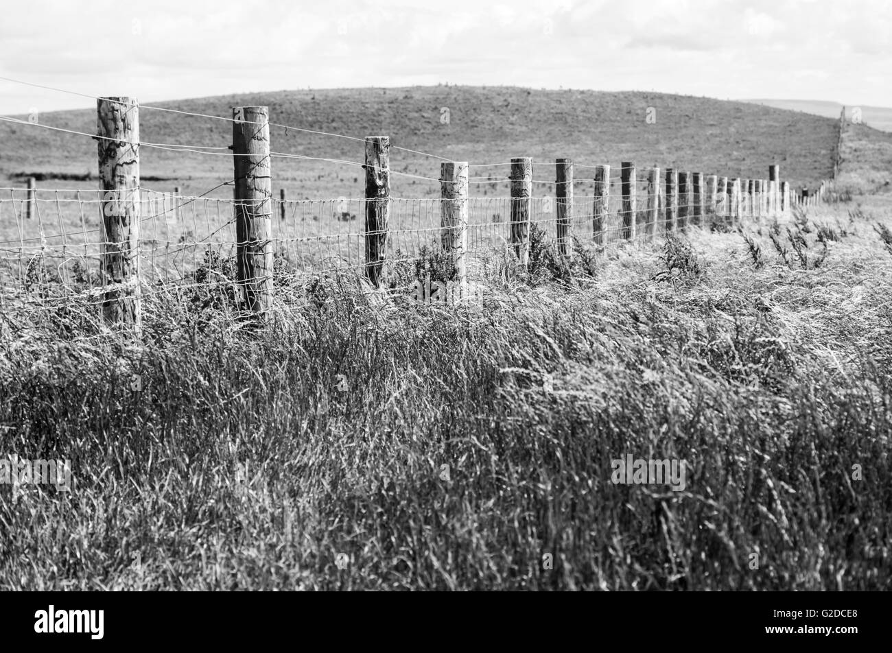Fence Row on Field at Cliffs of Moher, Ireland Stock Photo - Alamy