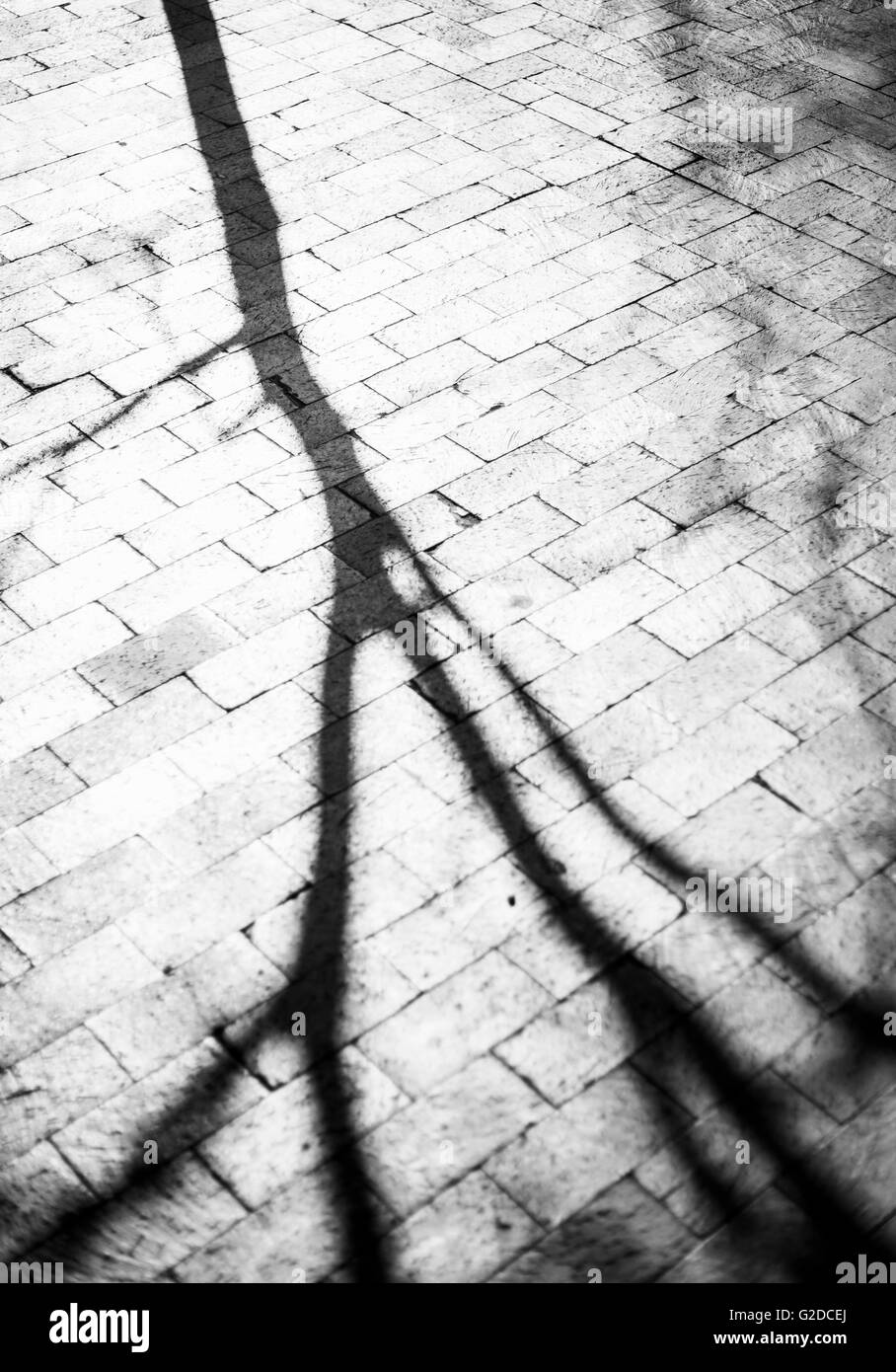Tree shadow angle hi-res stock photography and images - Alamy