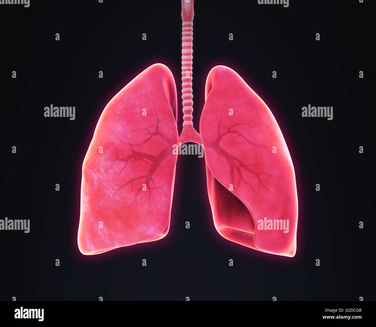 Lung disease hi-res stock photography and images - Alamy