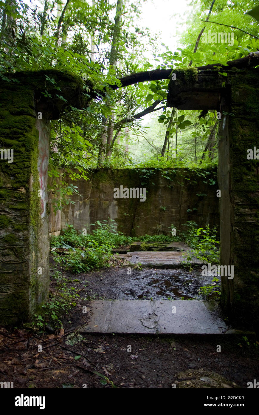 Overgrown foundation hi-res stock photography and images - Alamy