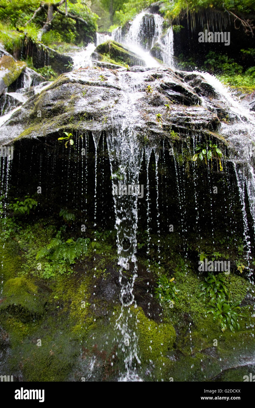 Waterfall, Low Angle View Stock Photo - Alamy