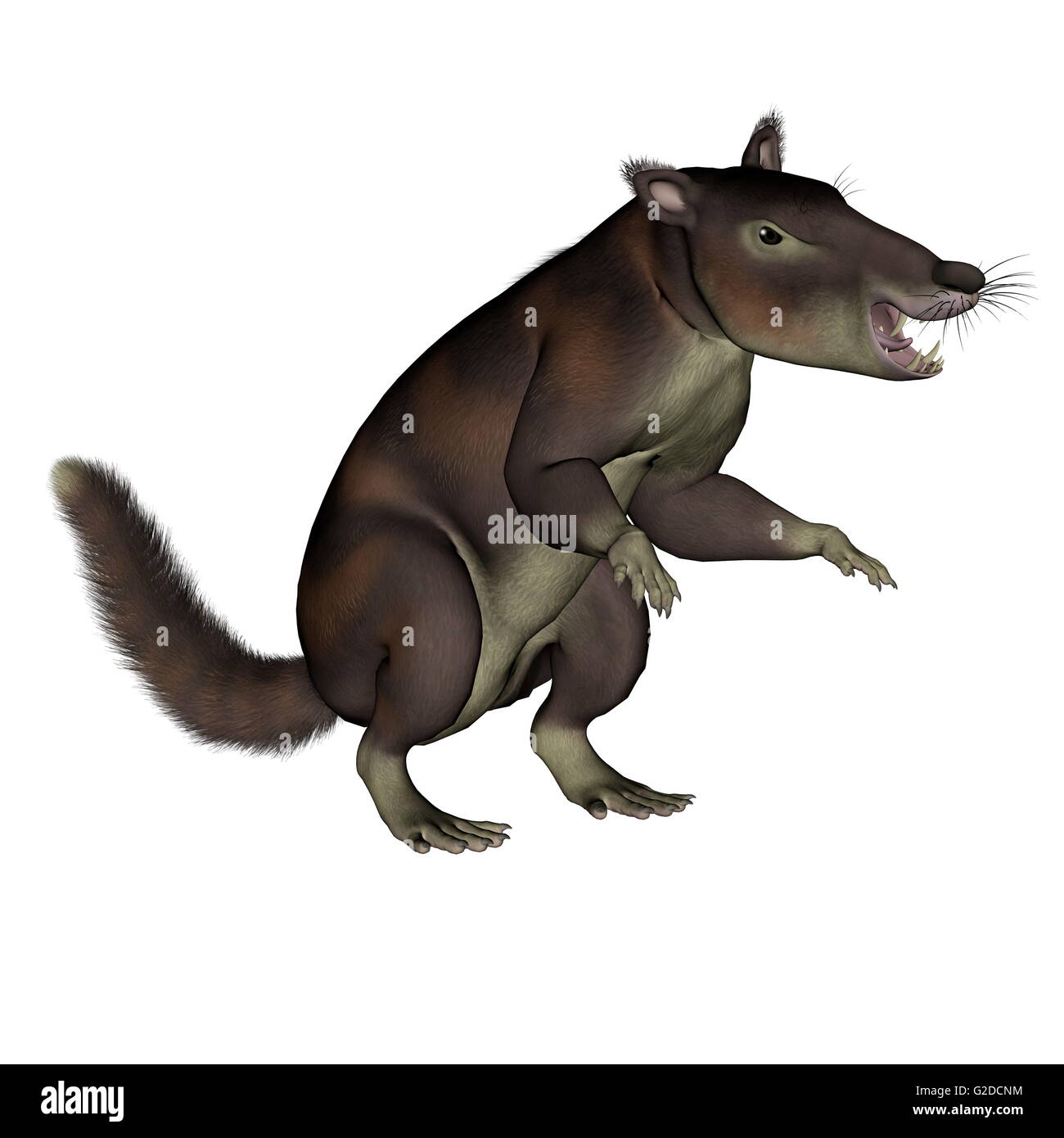 Cronopio dentiacutus prehistoric mammal sitting isolated in white ...