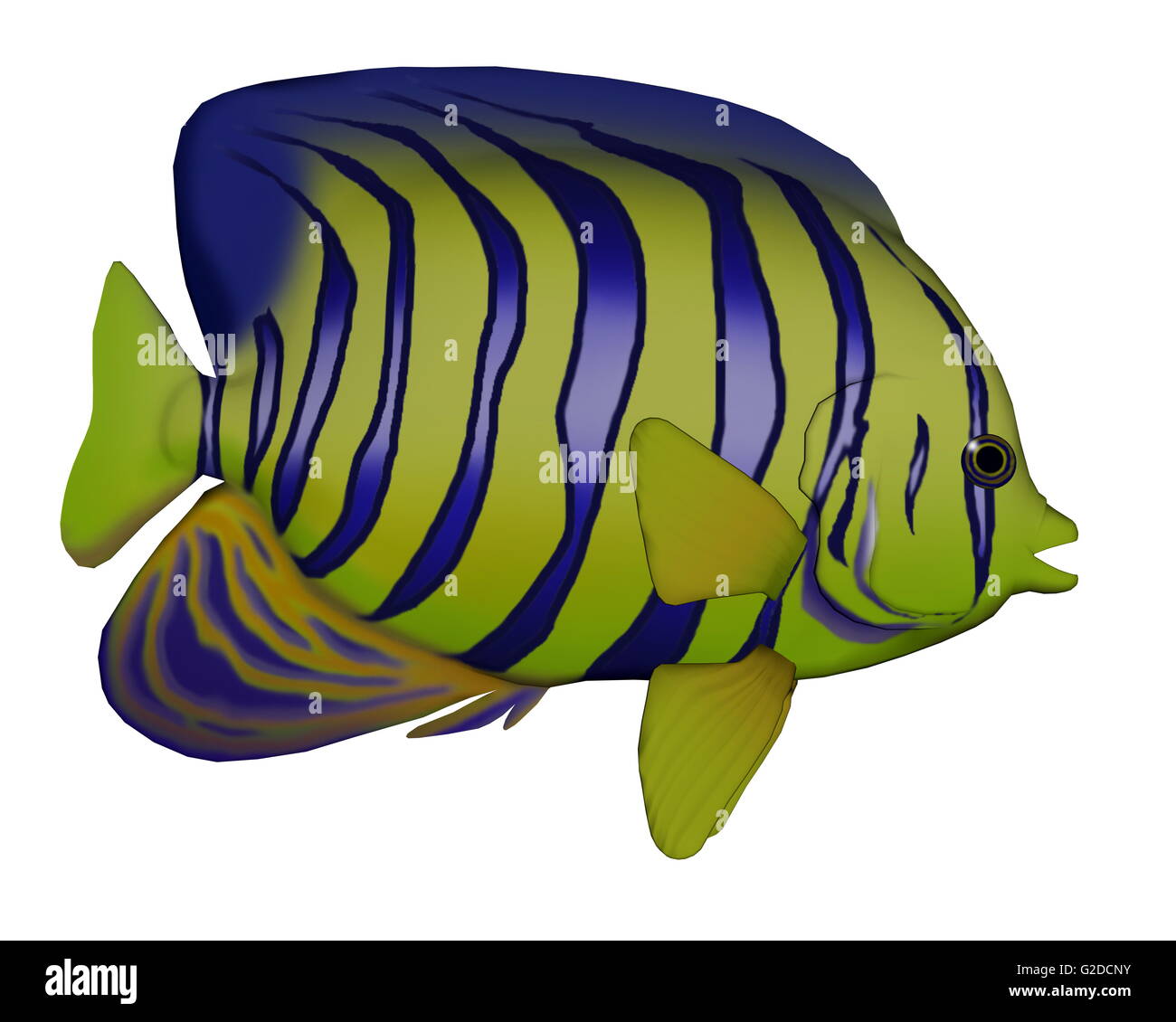 Angelfish isolated in white background - 3D render Stock Photo - Alamy