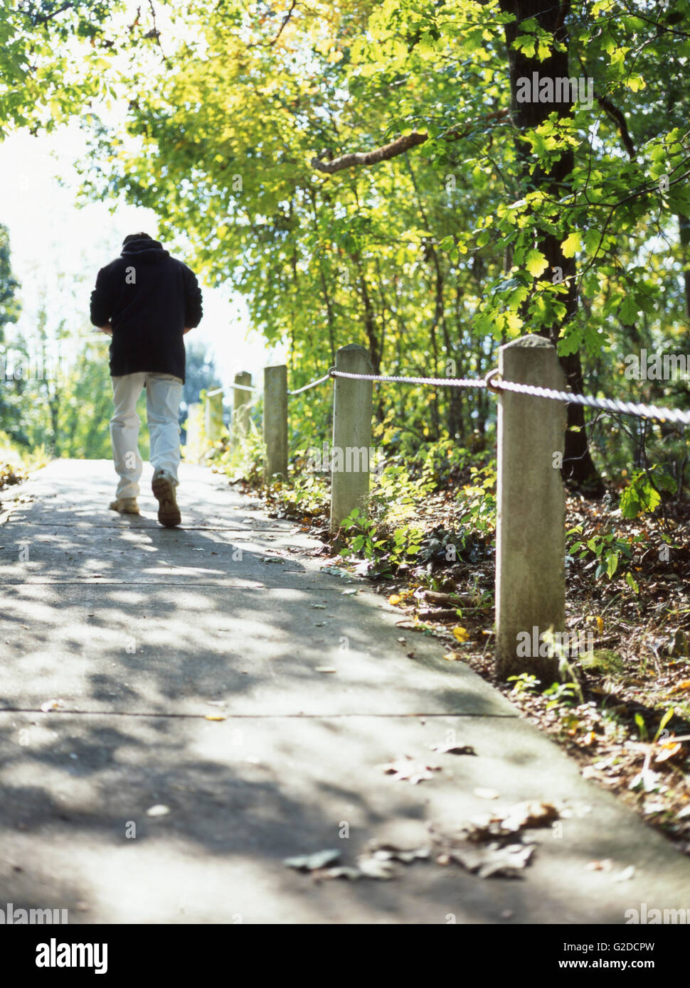 Man Walking Along Cement Path in Park, Rear View Stock Photo - Alamy