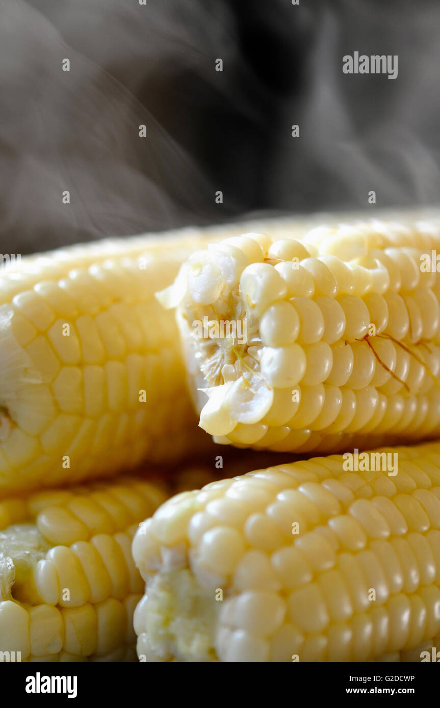 Steaming Corn Cobs Stock Photo - Alamy