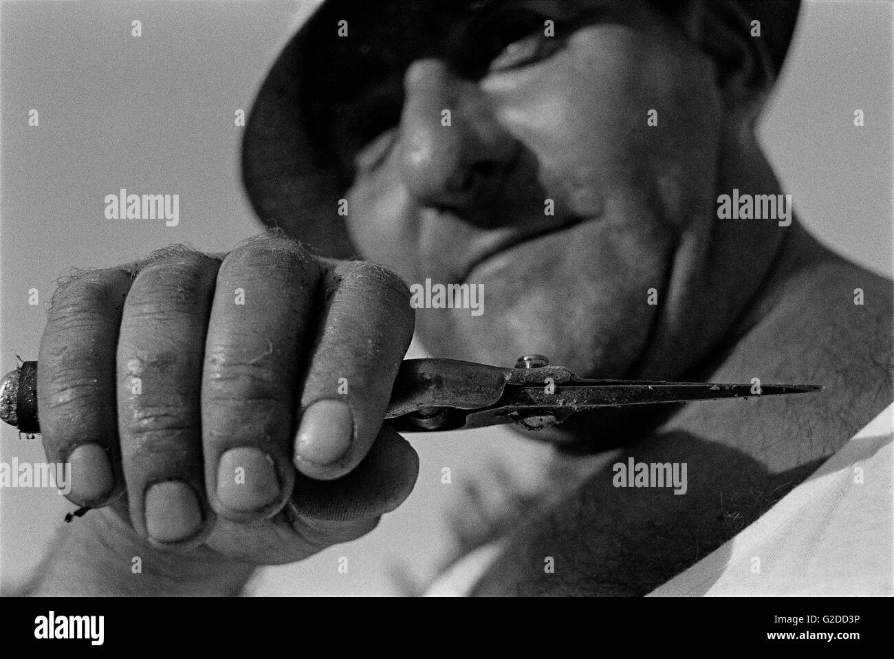 Man Holding Scissors Stock Photo - Alamy