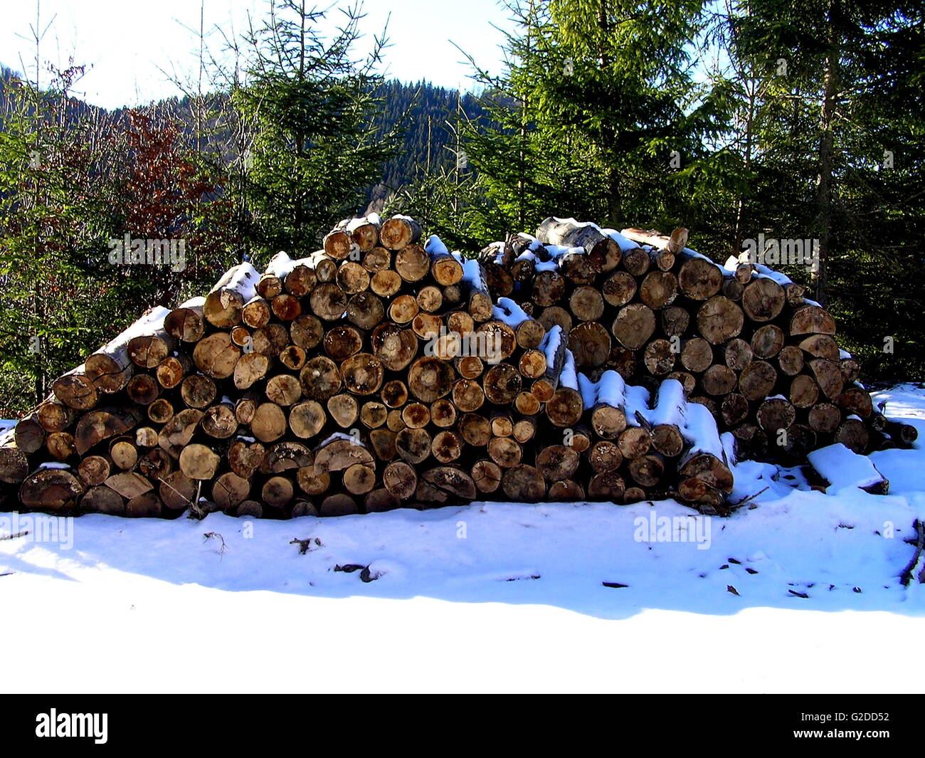 lots of wood Stock Photo - Alamy