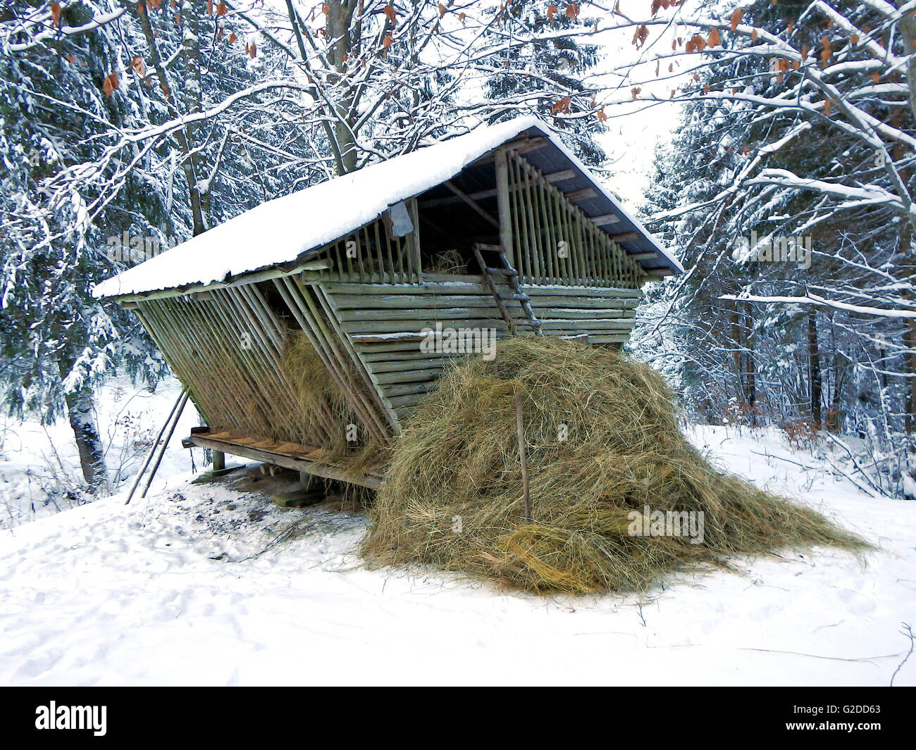 Hay crib hi-res stock photography and images - Alamy