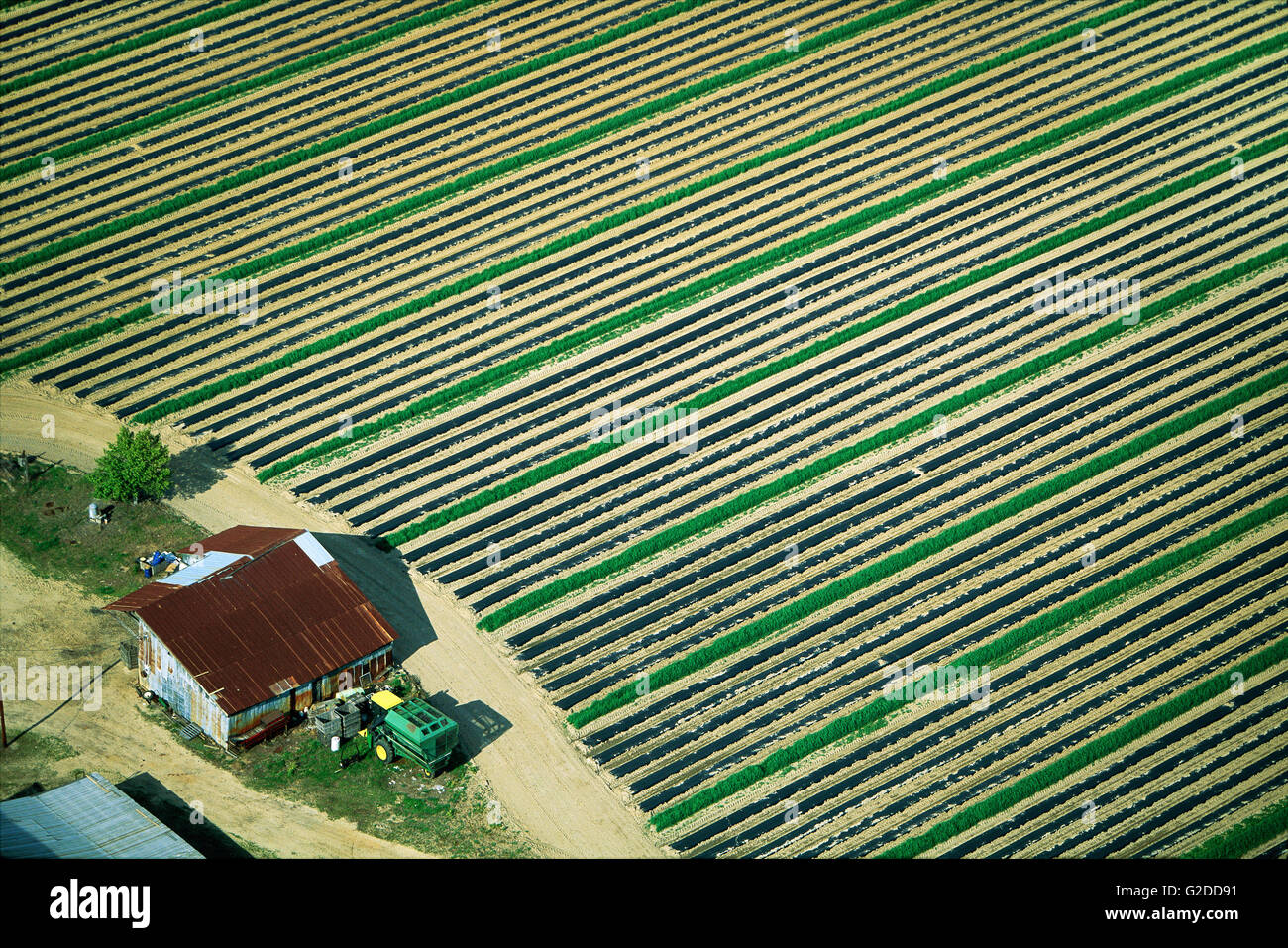 The farm lines hi-res stock photography and images - Alamy