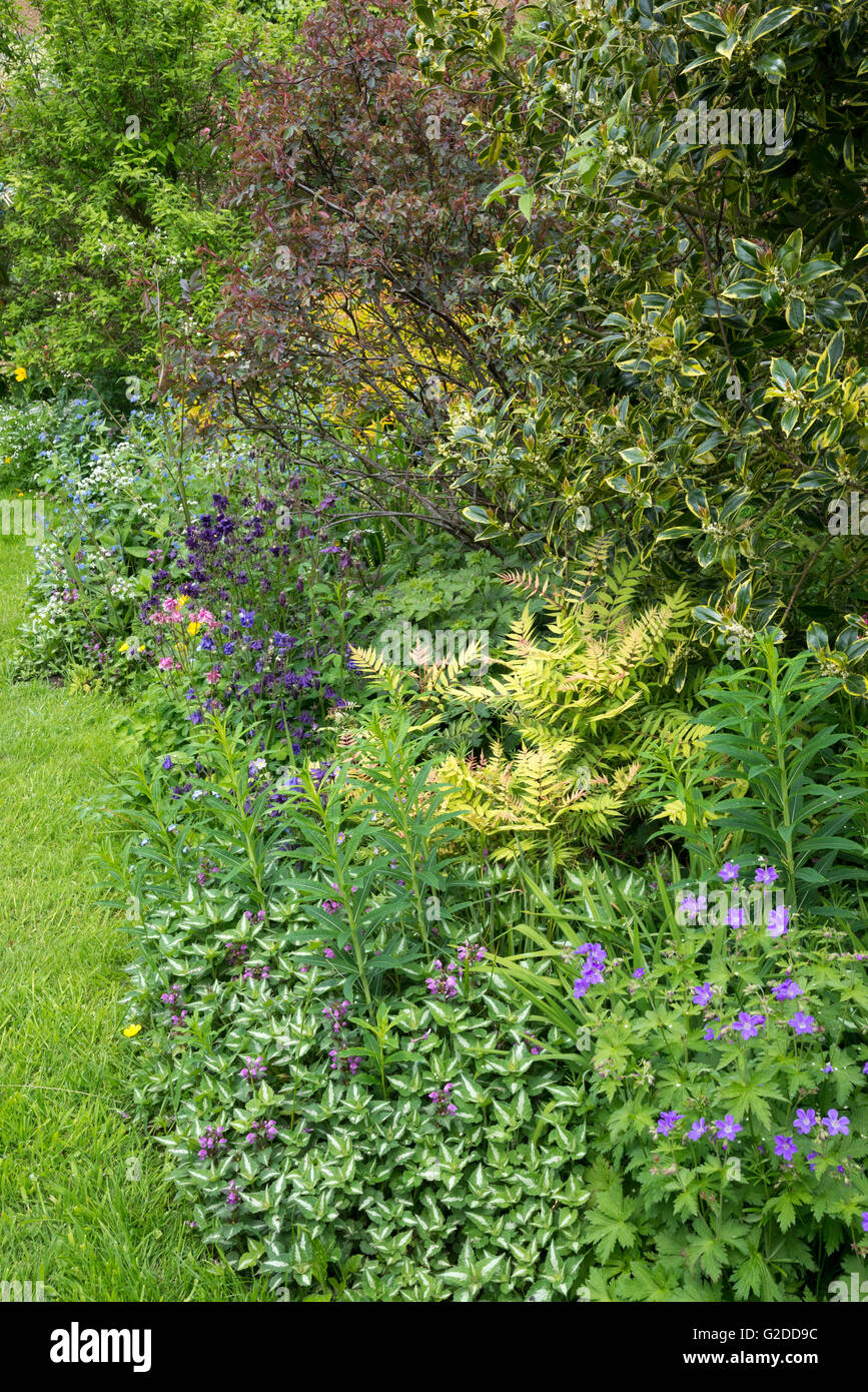 An English cottage garden in late May with a abundance of informal ...