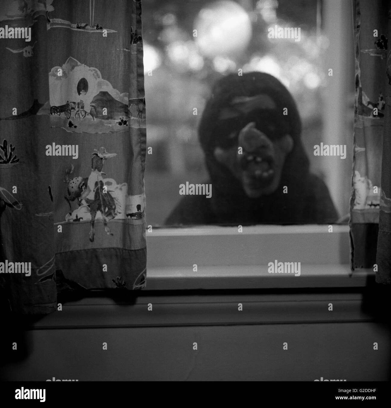 Creature Outside the Window Stock Photo - Alamy