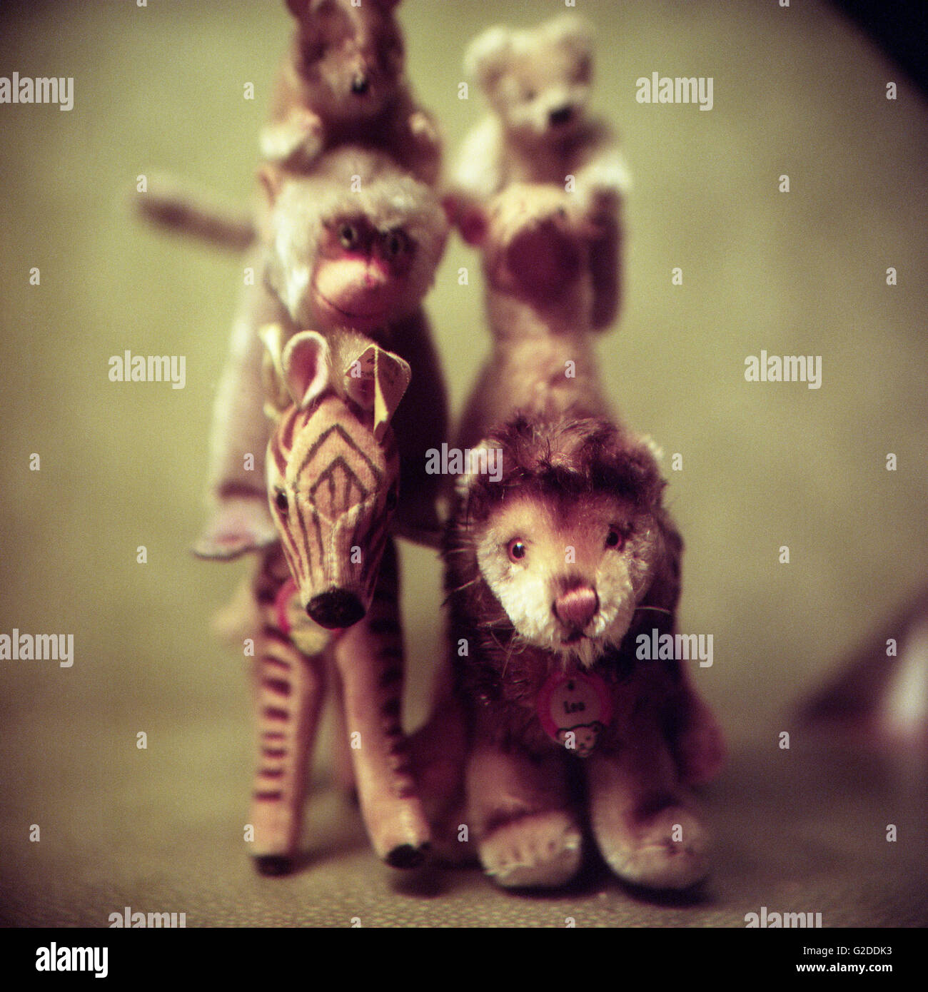 Stack of Miniature Stuffed Animals Stock Photo - Alamy