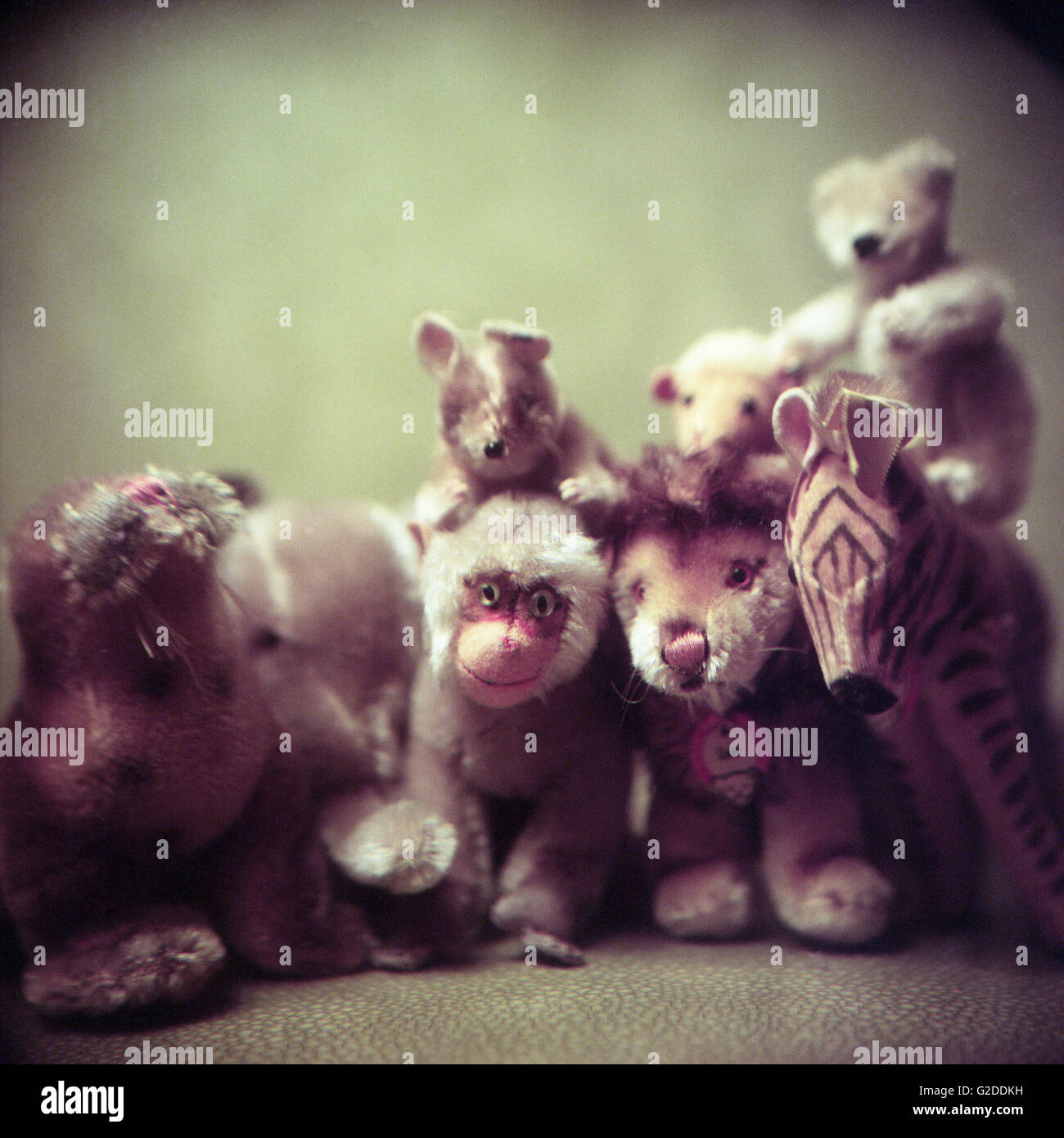 Stack of Miniature Stuffed Animals Stock Photo - Alamy